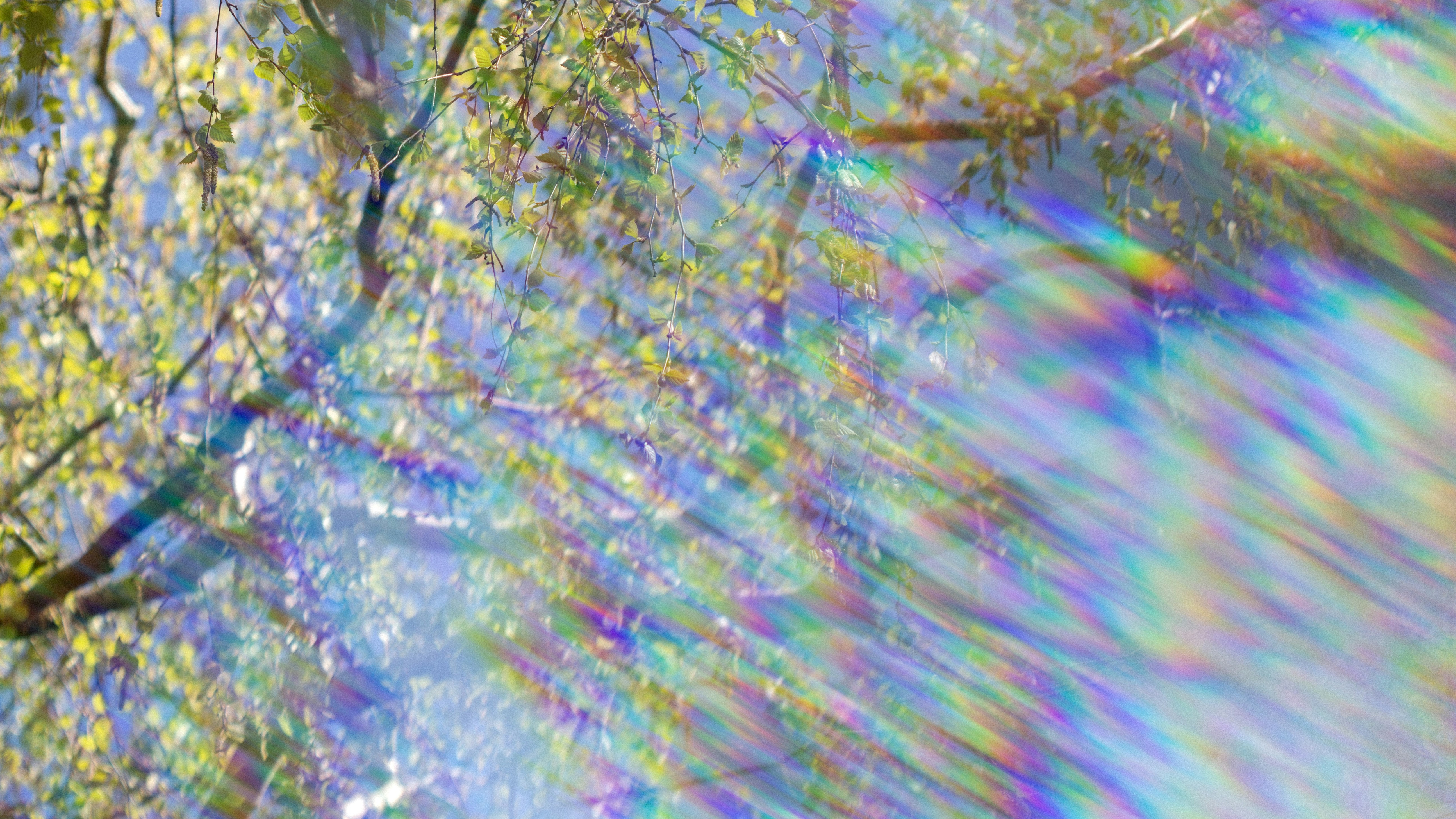Chromatic Blur: Autumn Leaves in a Prism of Light