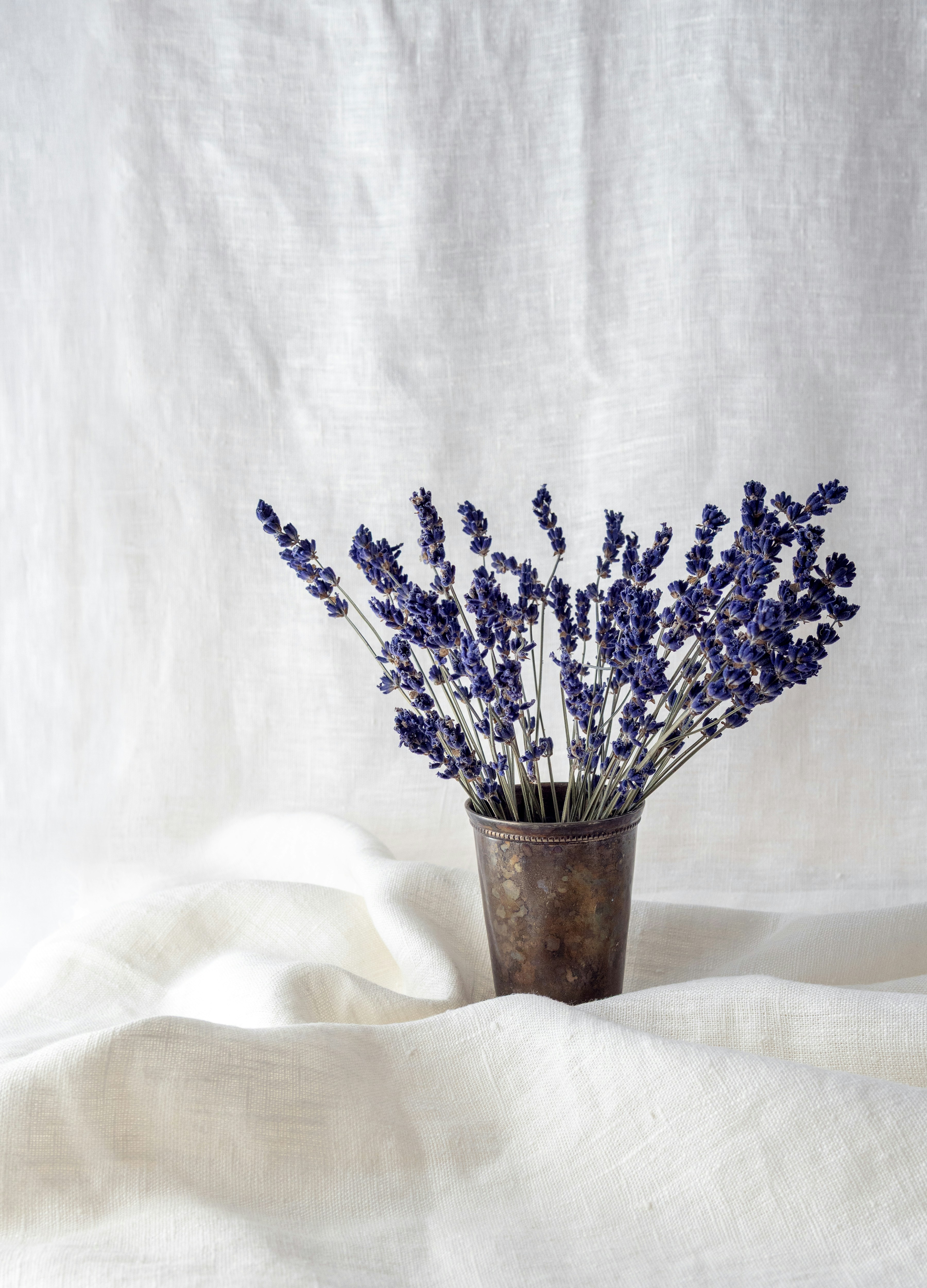 Lavender in a rustic cup: quiet white-staged still life