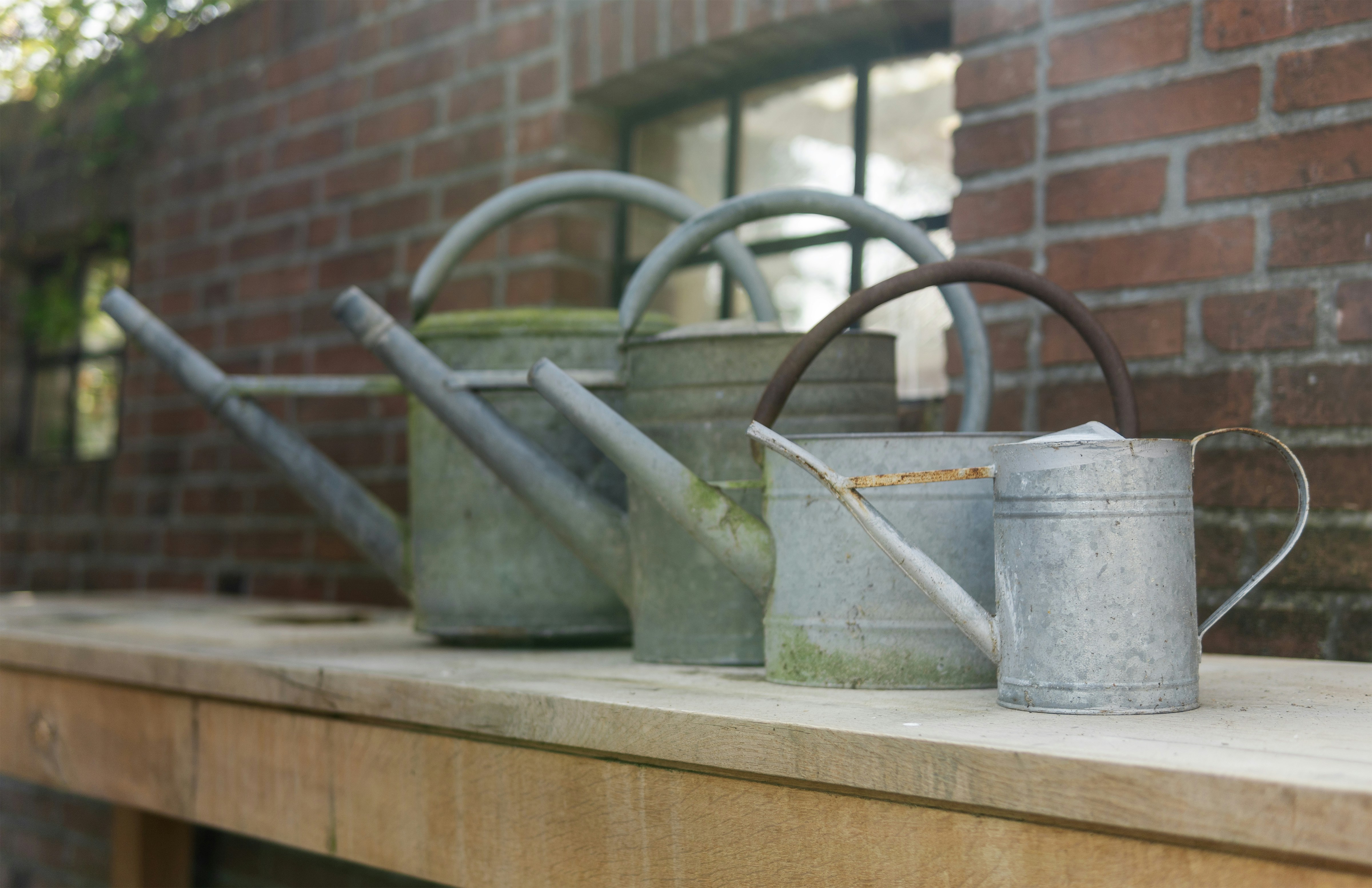 Row of Weathered Watering Cans in Sunlit Workshop