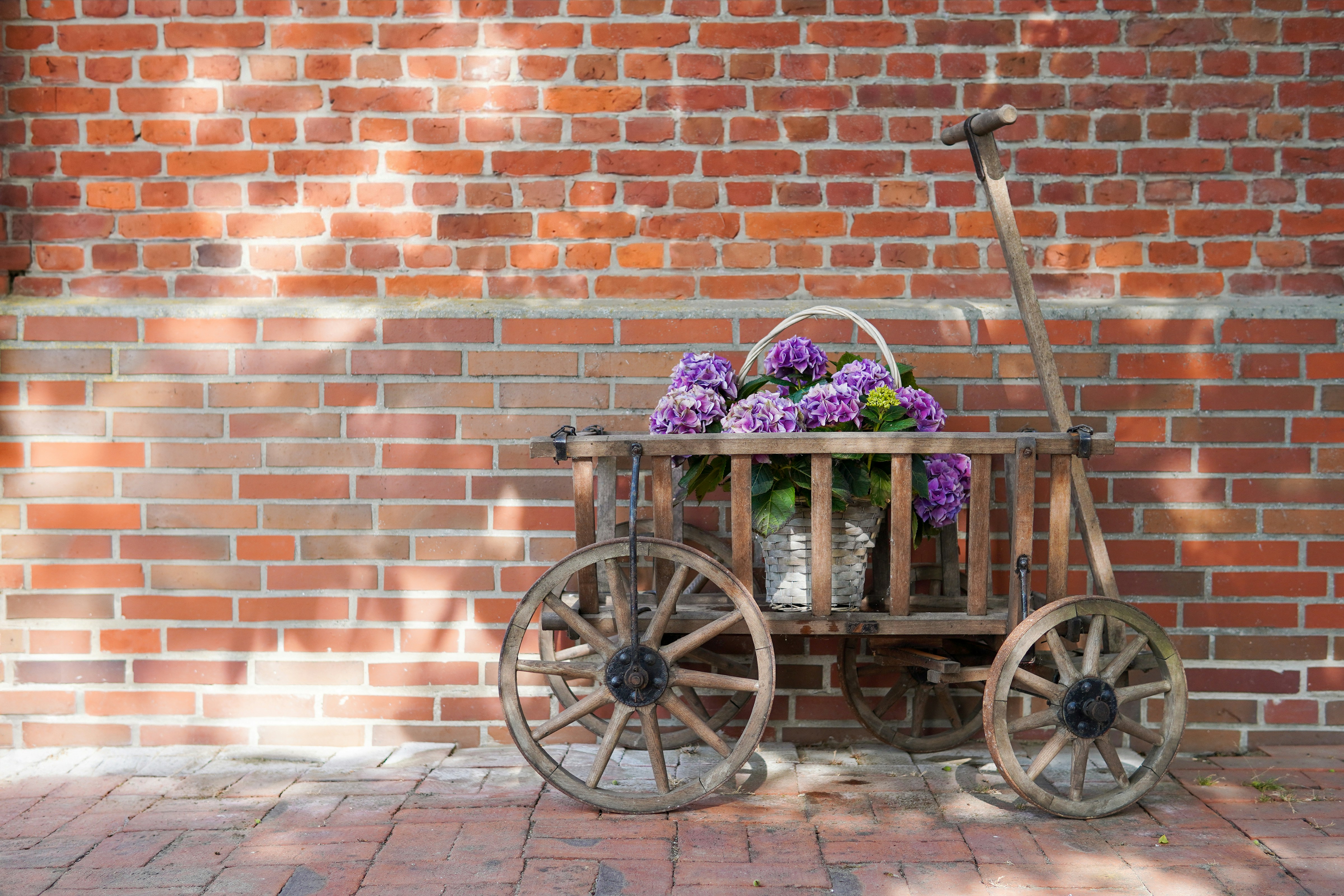 Lilac cart by the brick wall