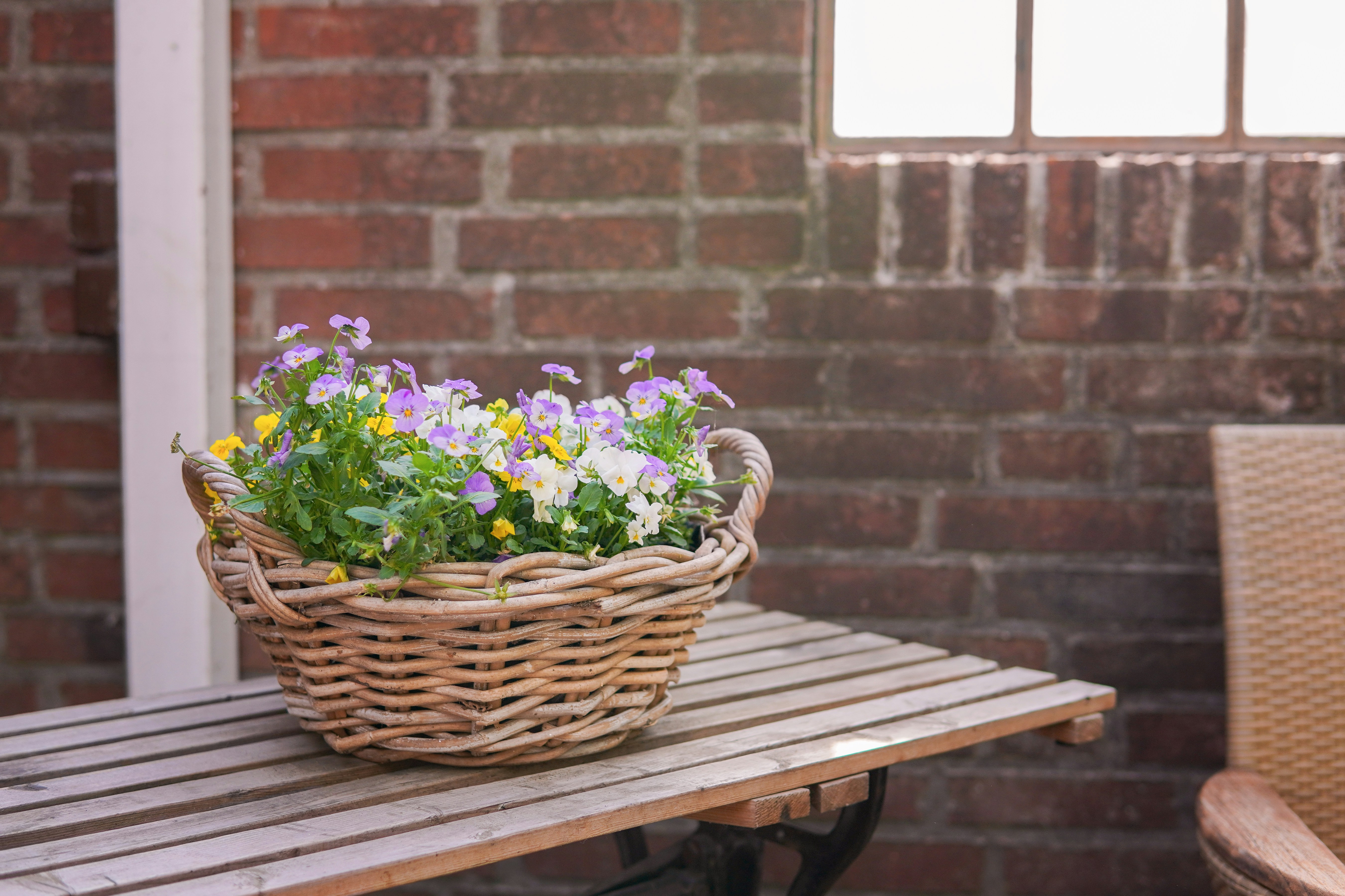 Basket of Spring Blooms on a Weathered Patio Table