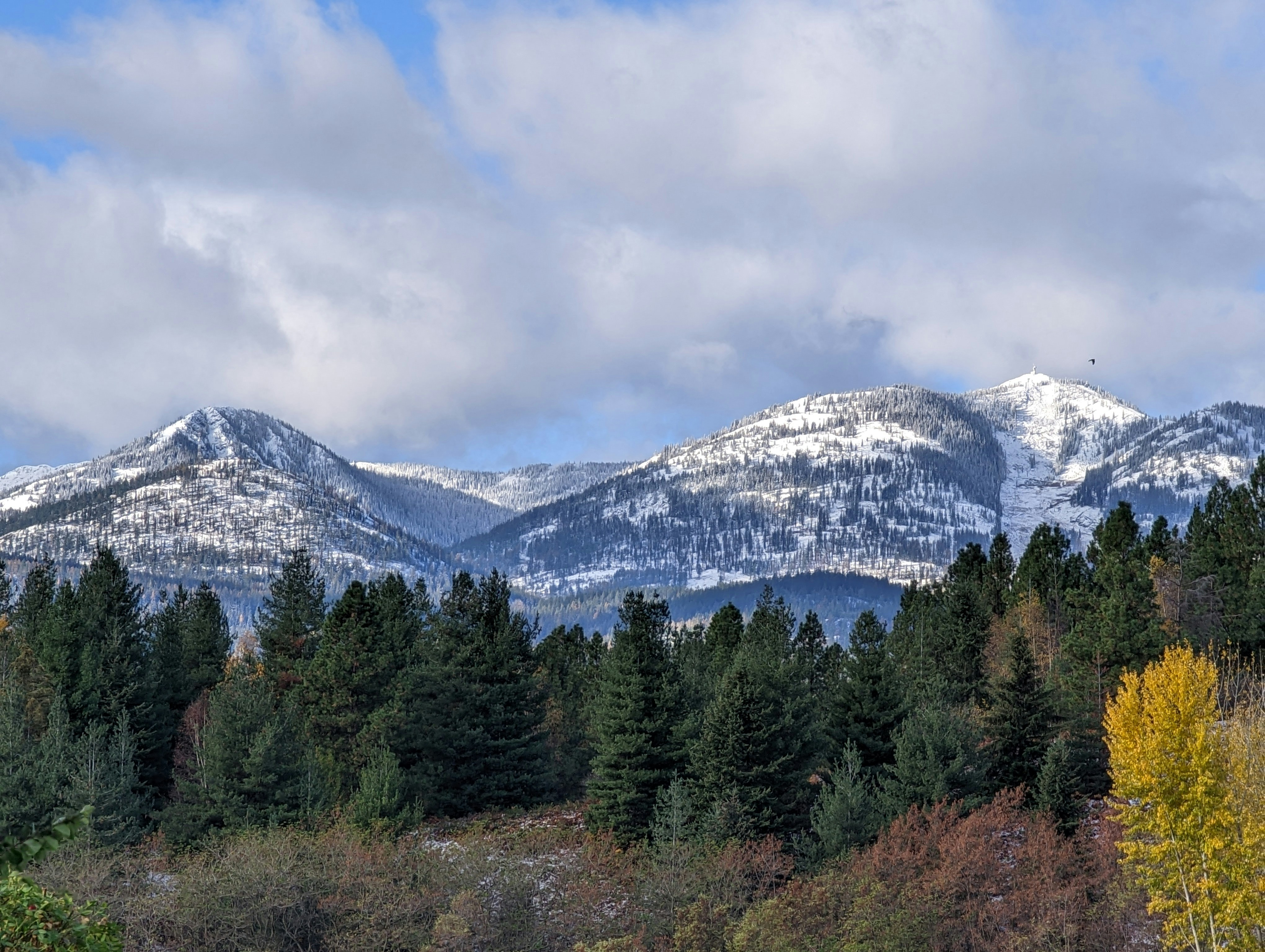Snow-kissed Summits Above a Cedar Dawn