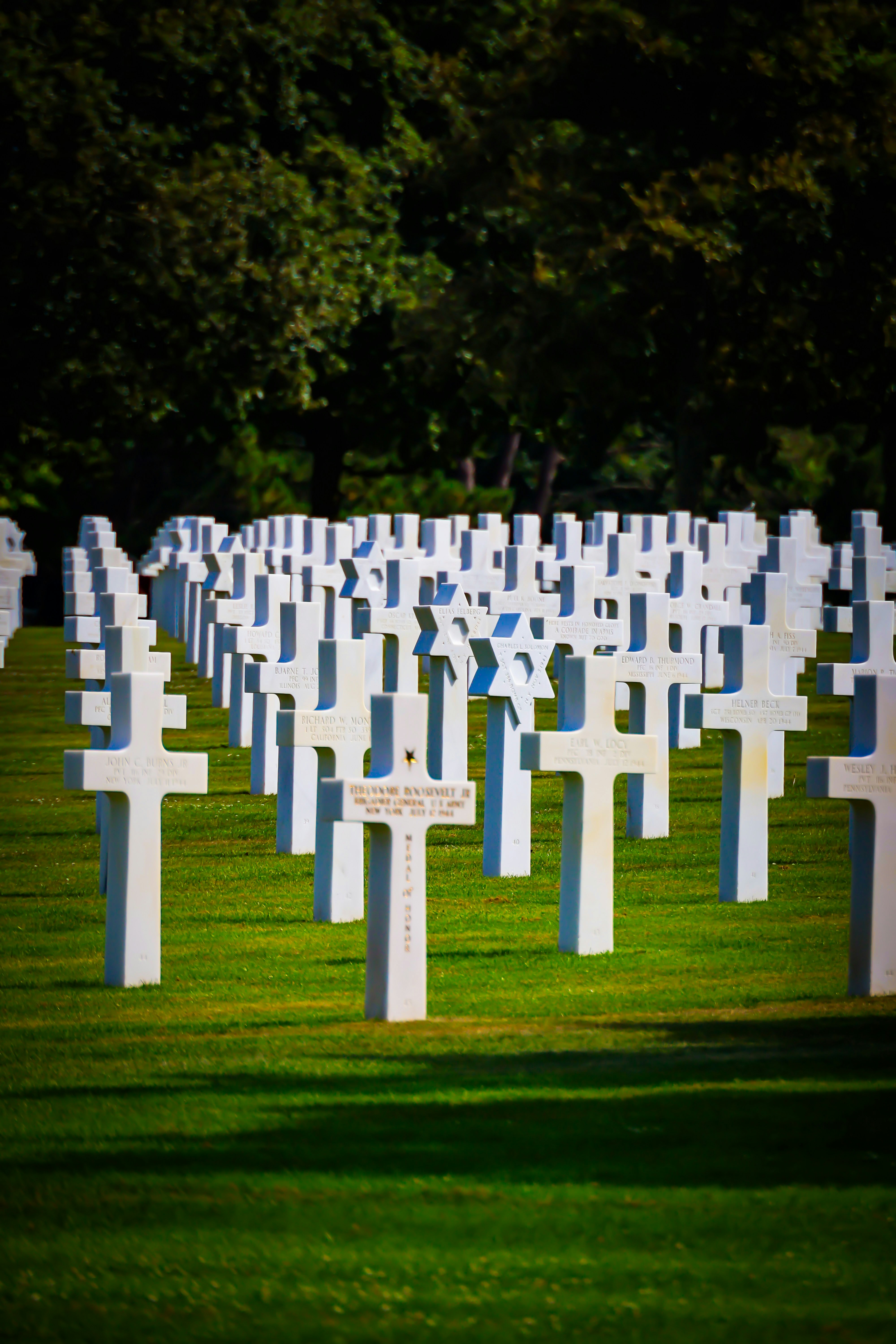 Lines of Silence: Rows of White Crosses Preside Over a Green Field