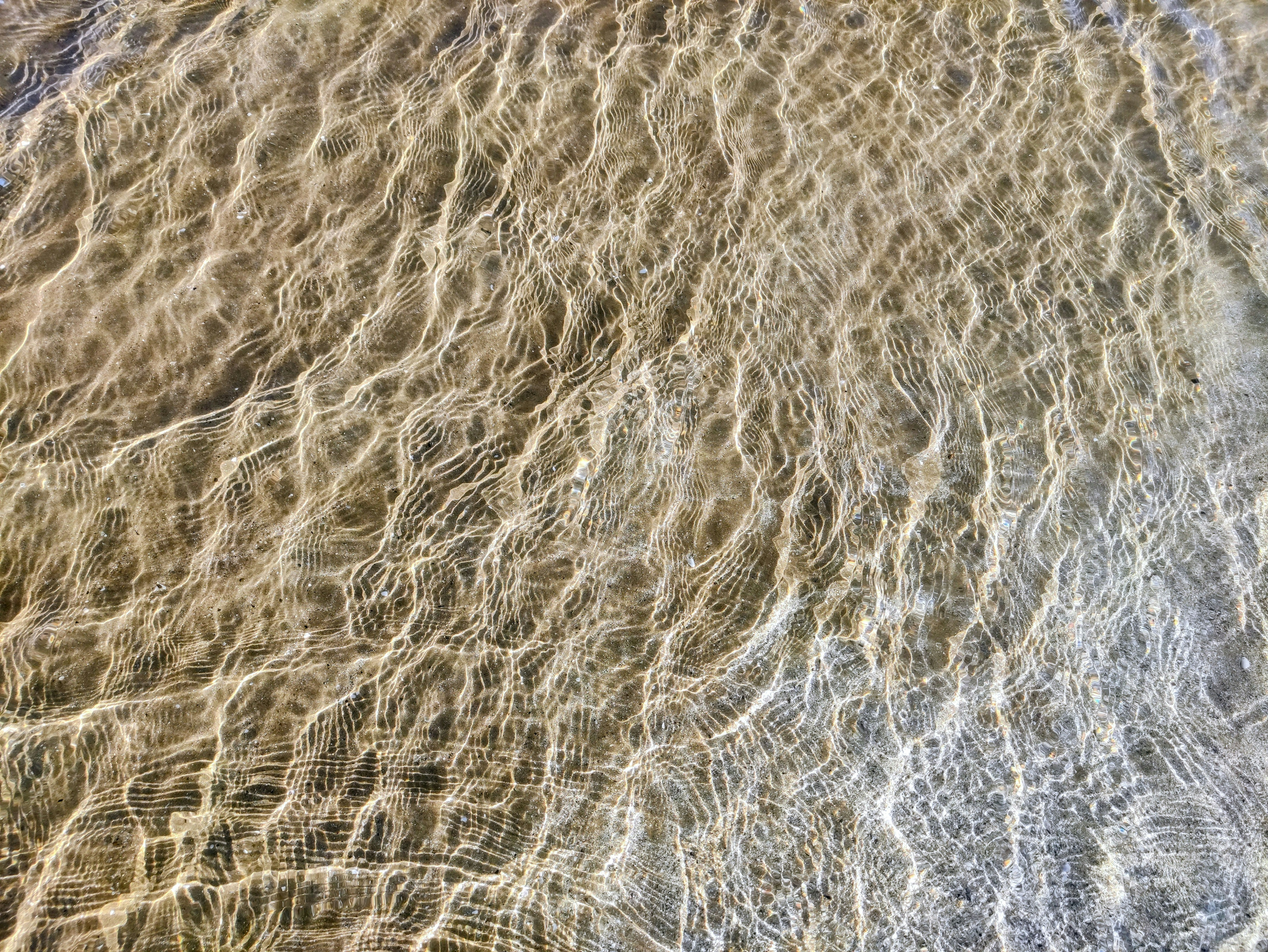 Ripple Portrait: Light-Patterned Sands of a Quiet Shore