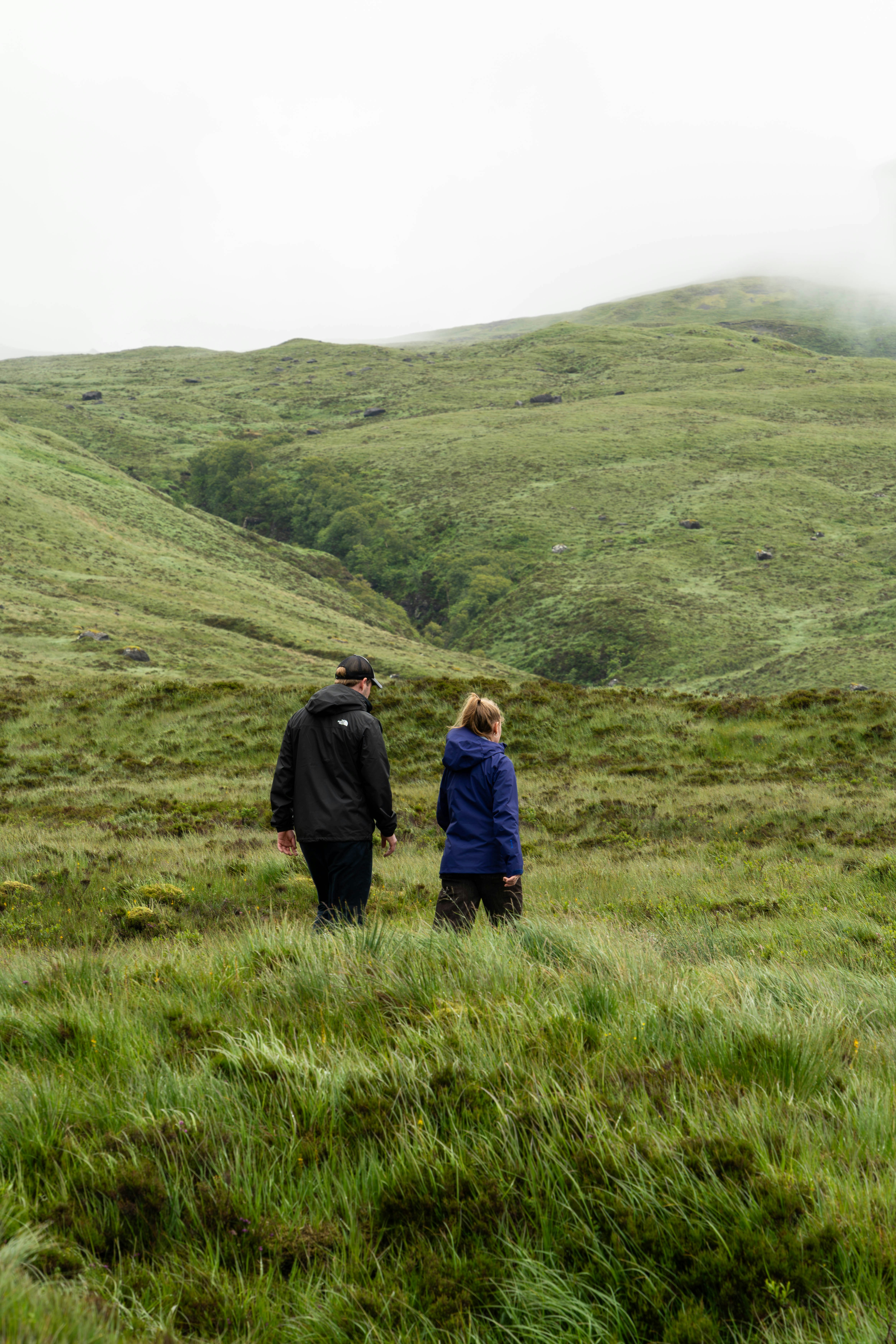 Two Explorers Step into the Misty Green Hills