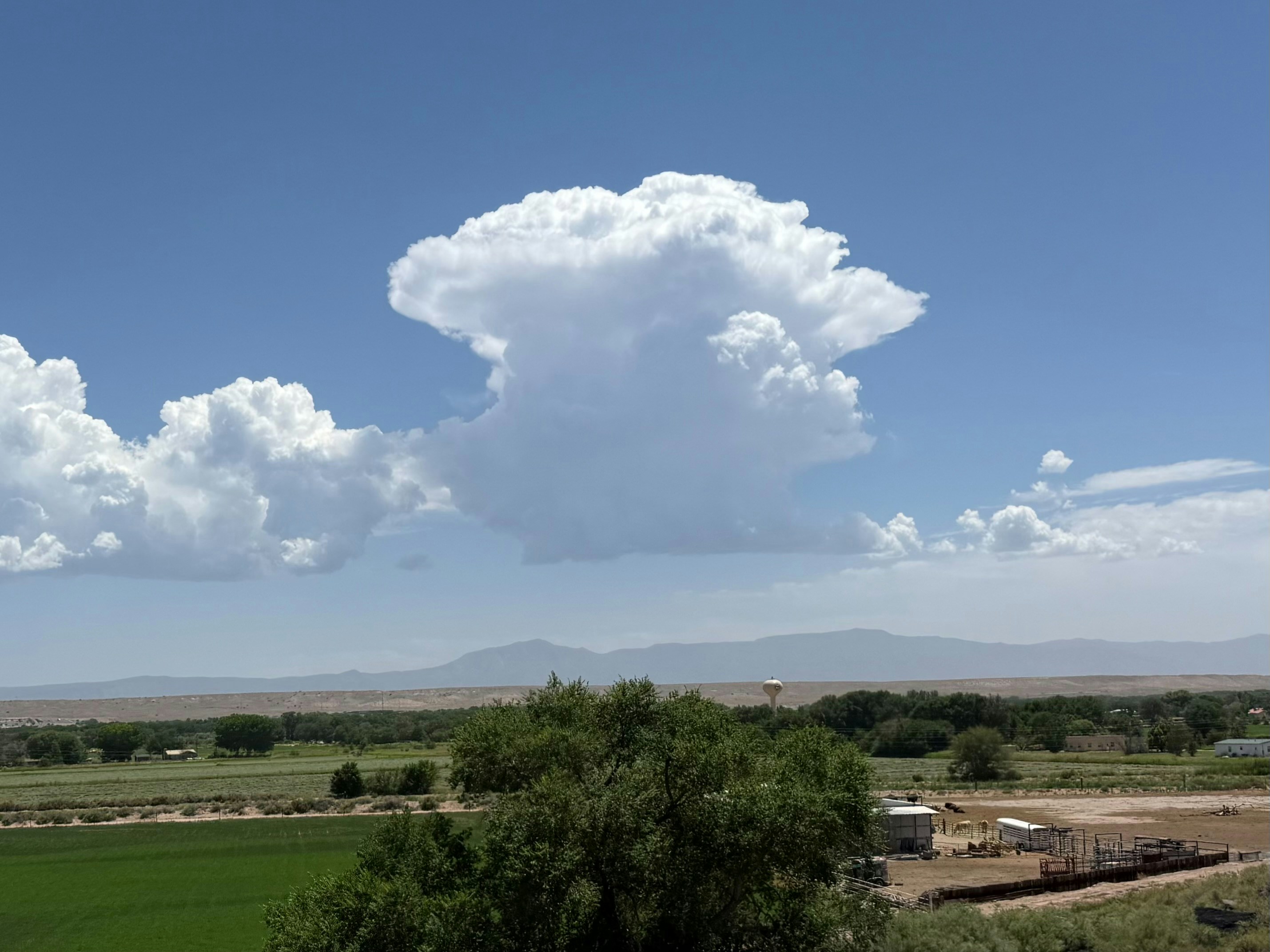 Cloud Column over a Quiet Desert Plain