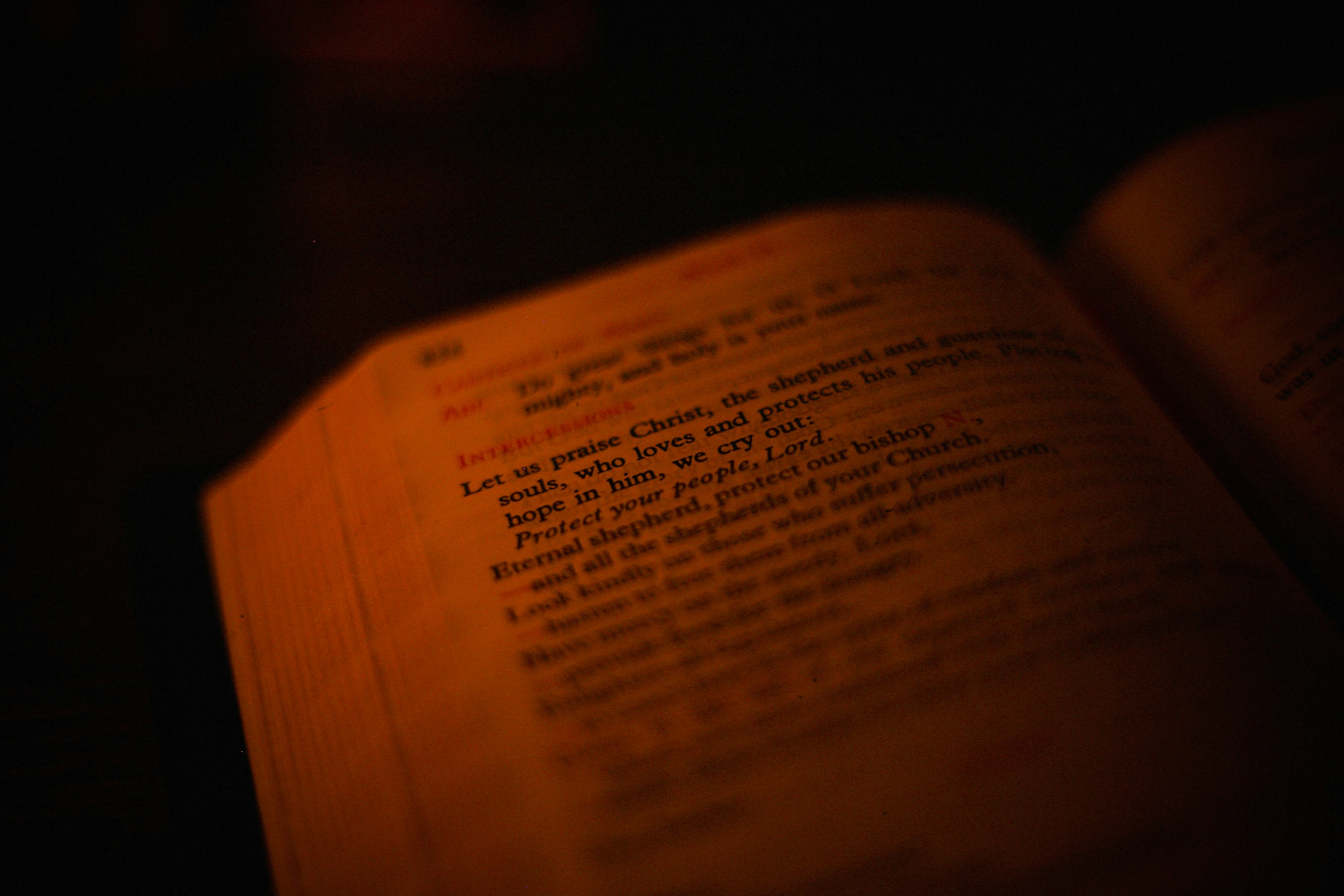 Dimened Ink: A Quiet Page Emerges from Amber Light
