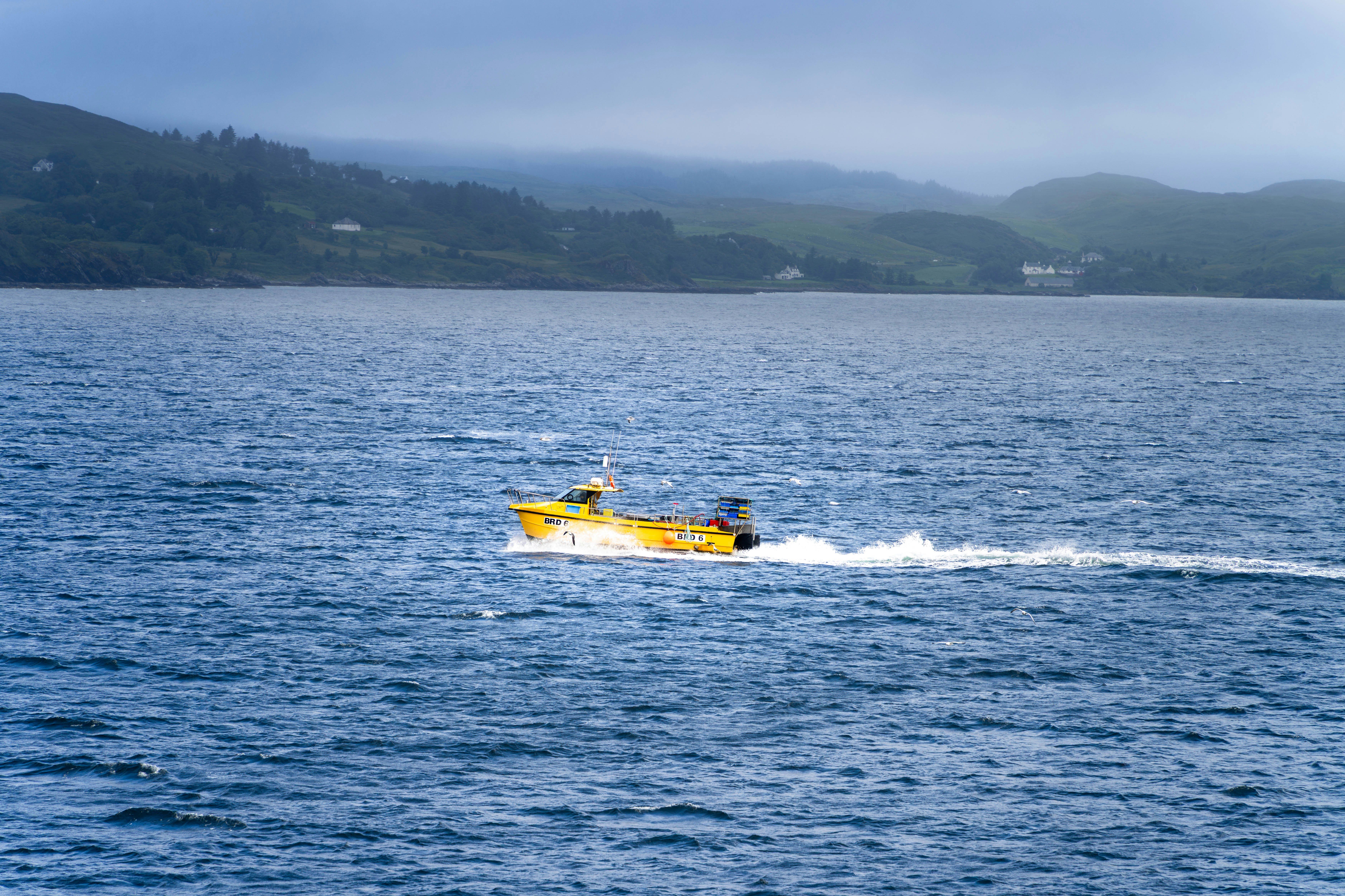 Yellow Speedboat Cutting a Blue Expanse