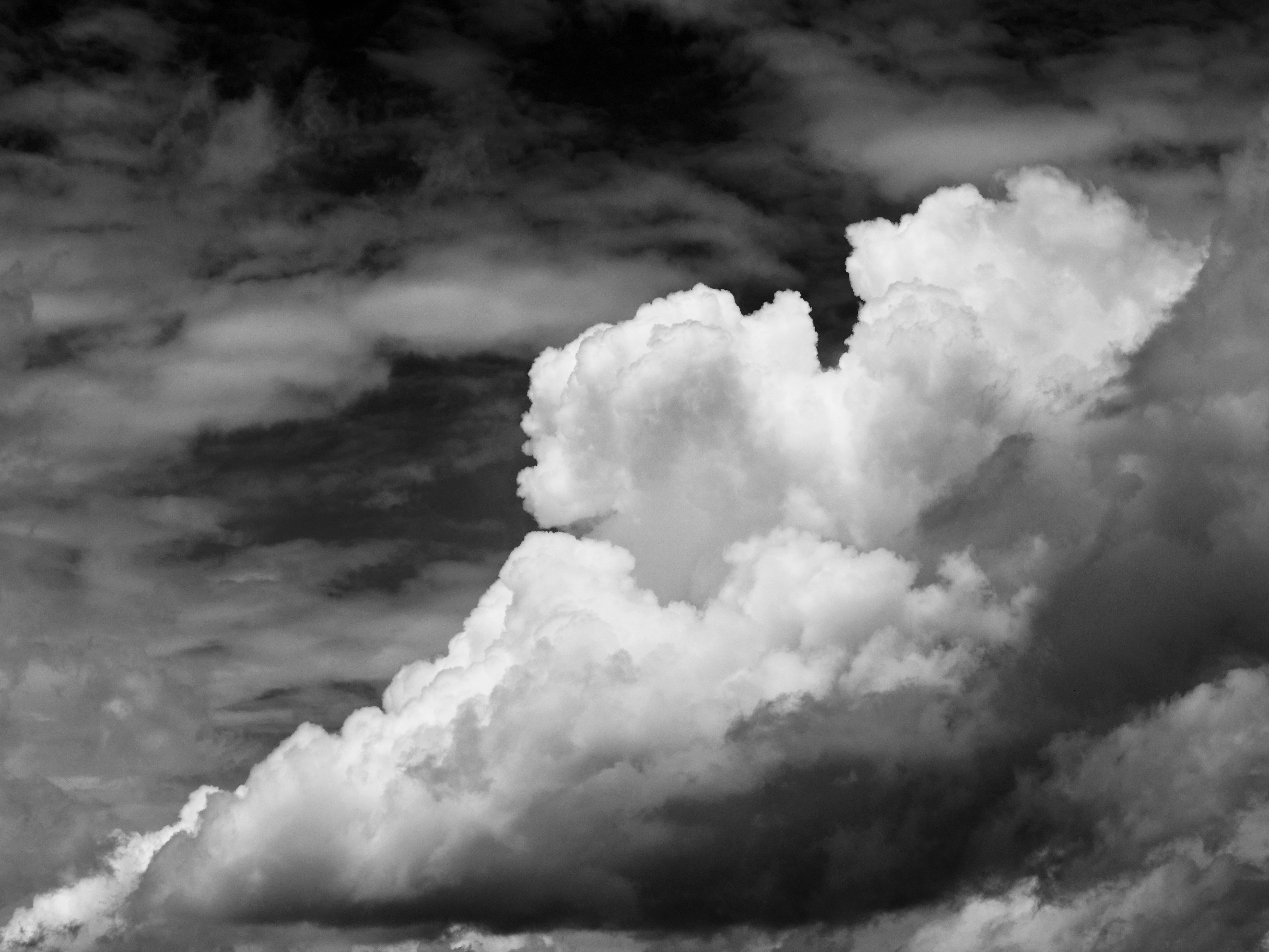 Thunderhead in Profile: A Bold Cloudscape in Monochrome