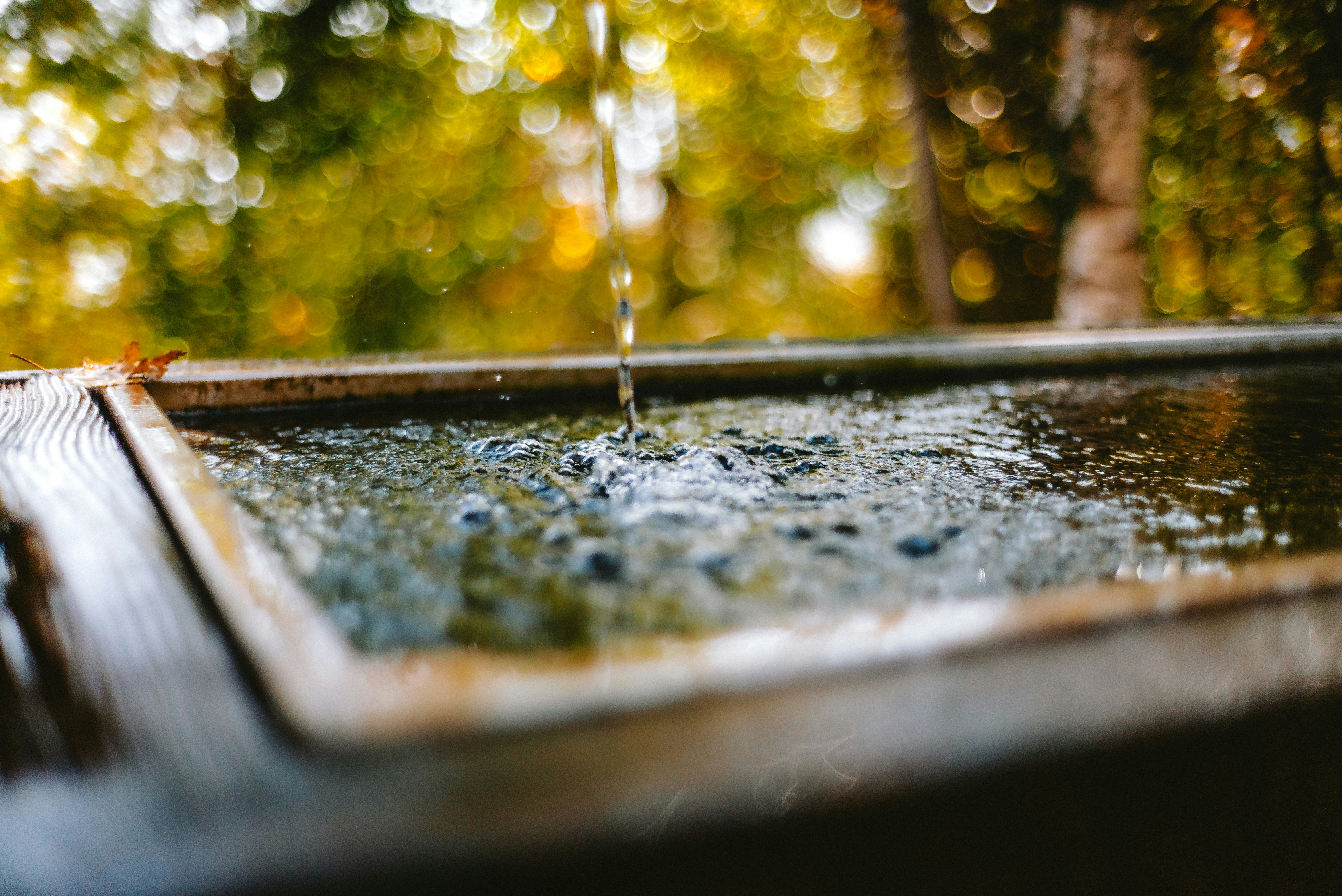 Liquid centerpiece: a narrow water stream in a shallow outdoor fountain
