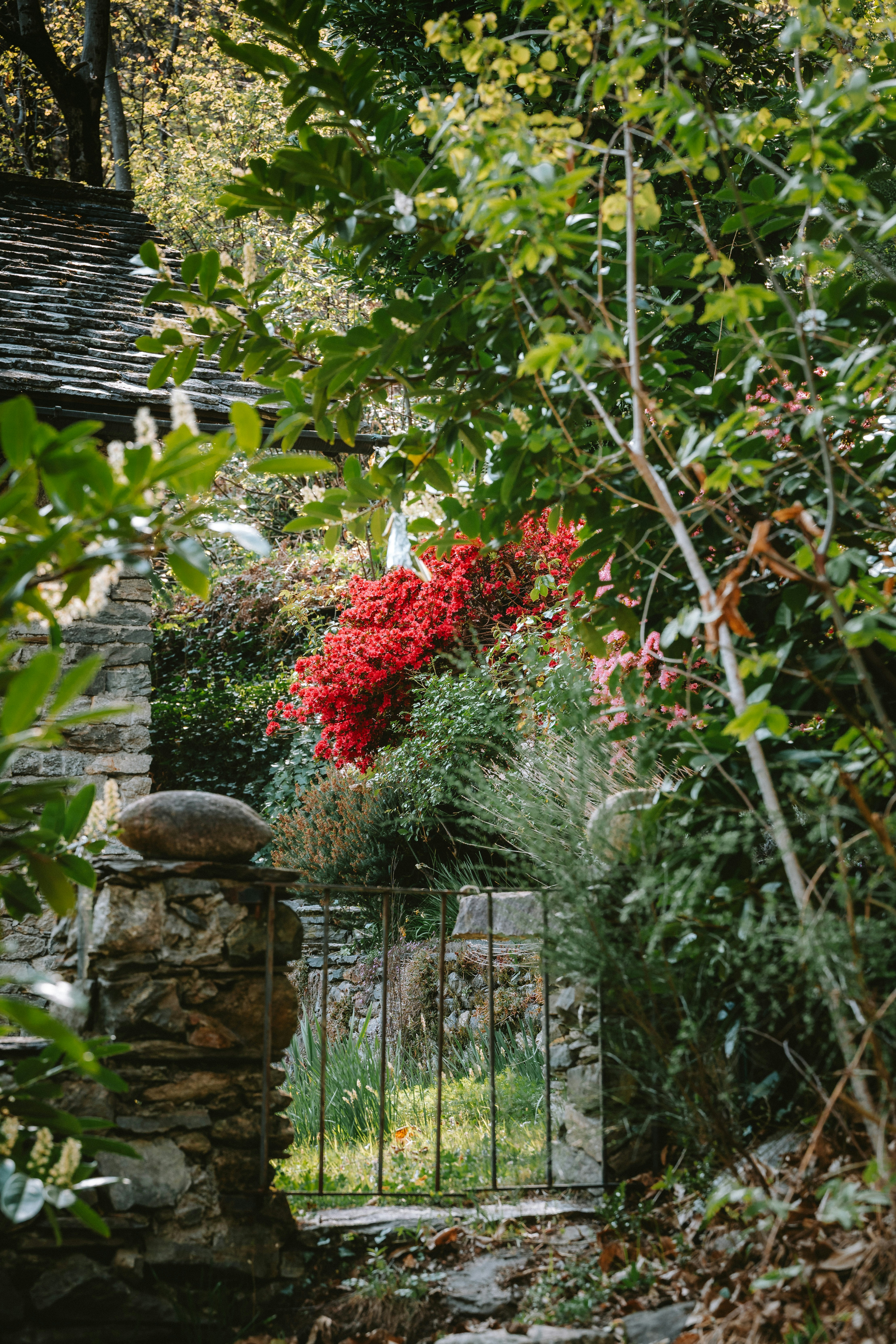 Hidden Garden Gate: Sunlit Bougainvillea Framing a Stone Courtyard