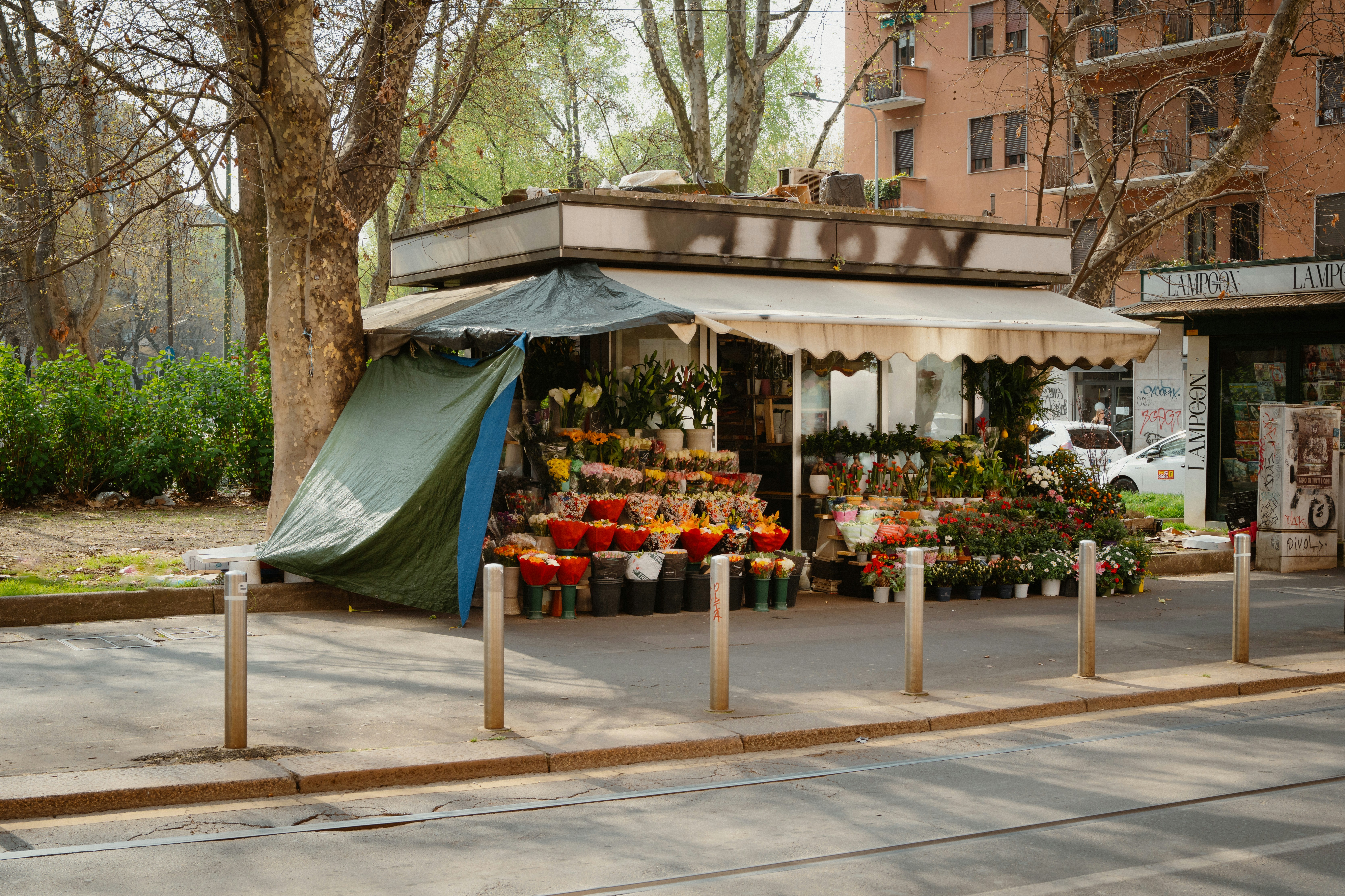 Market Stand Beneath a Shaded Canopy Along a Quiet City Street