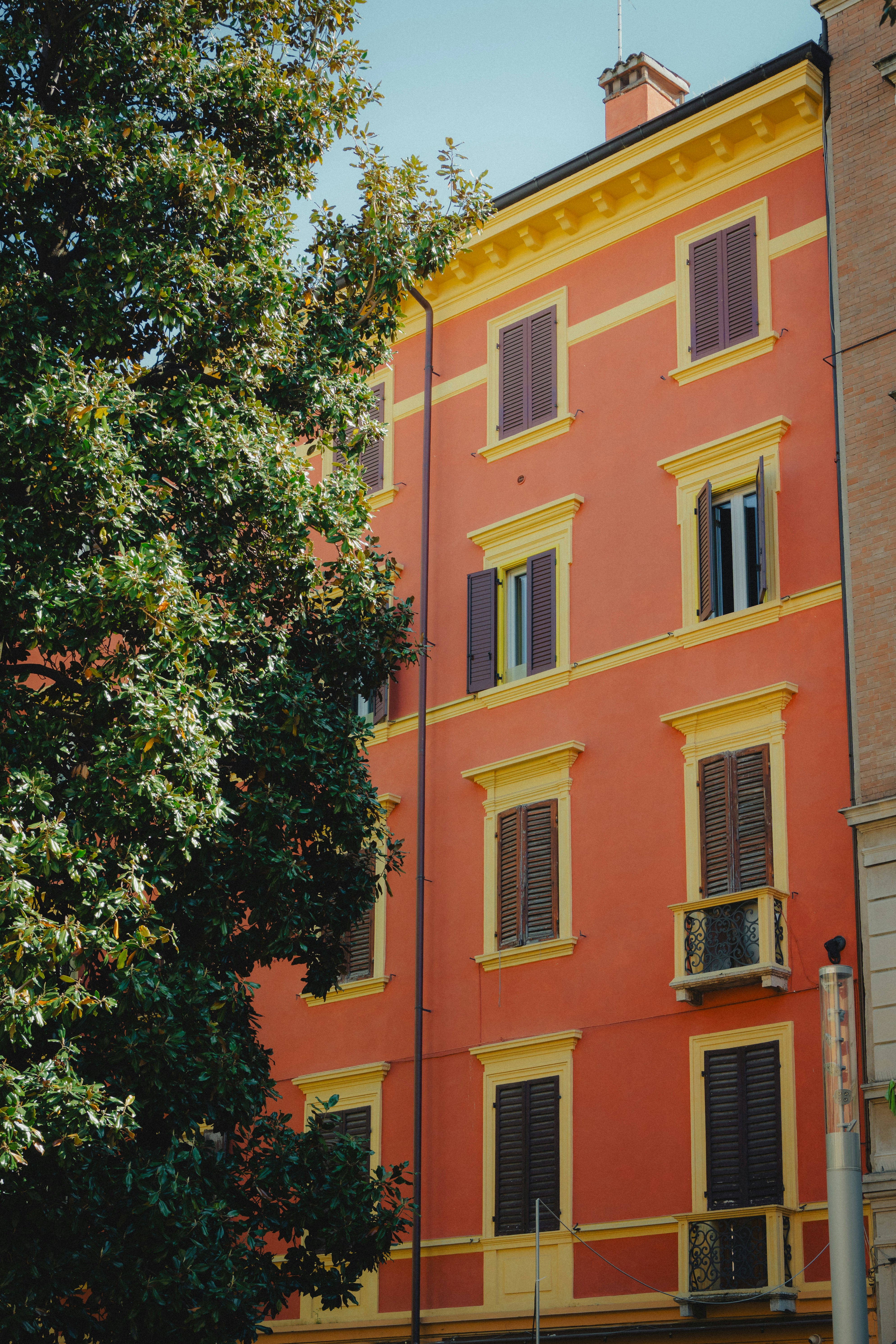 Terracotta Facade, Olive Tree Shadow