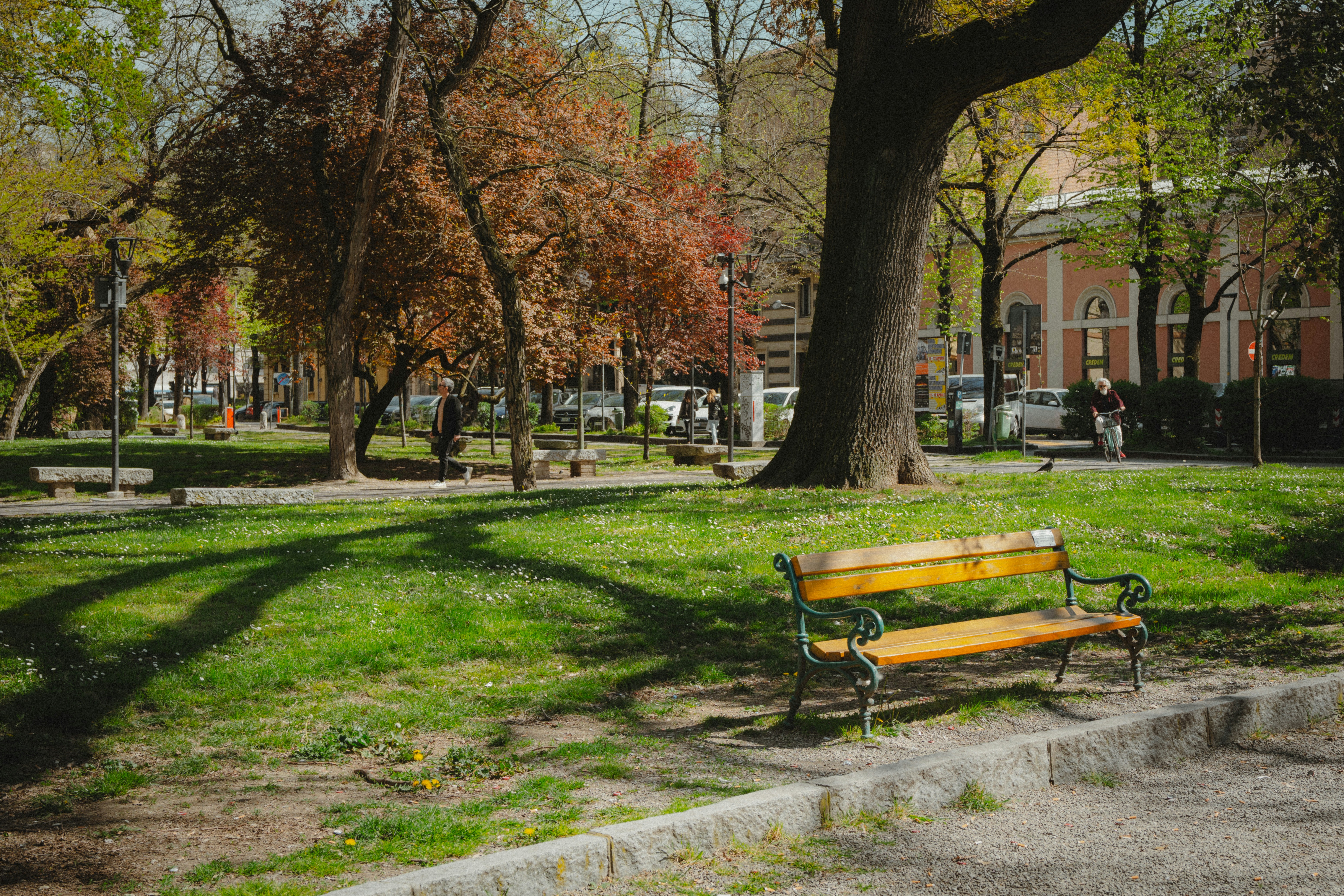 Sunlit Park Bench Amid Autumned Grounds