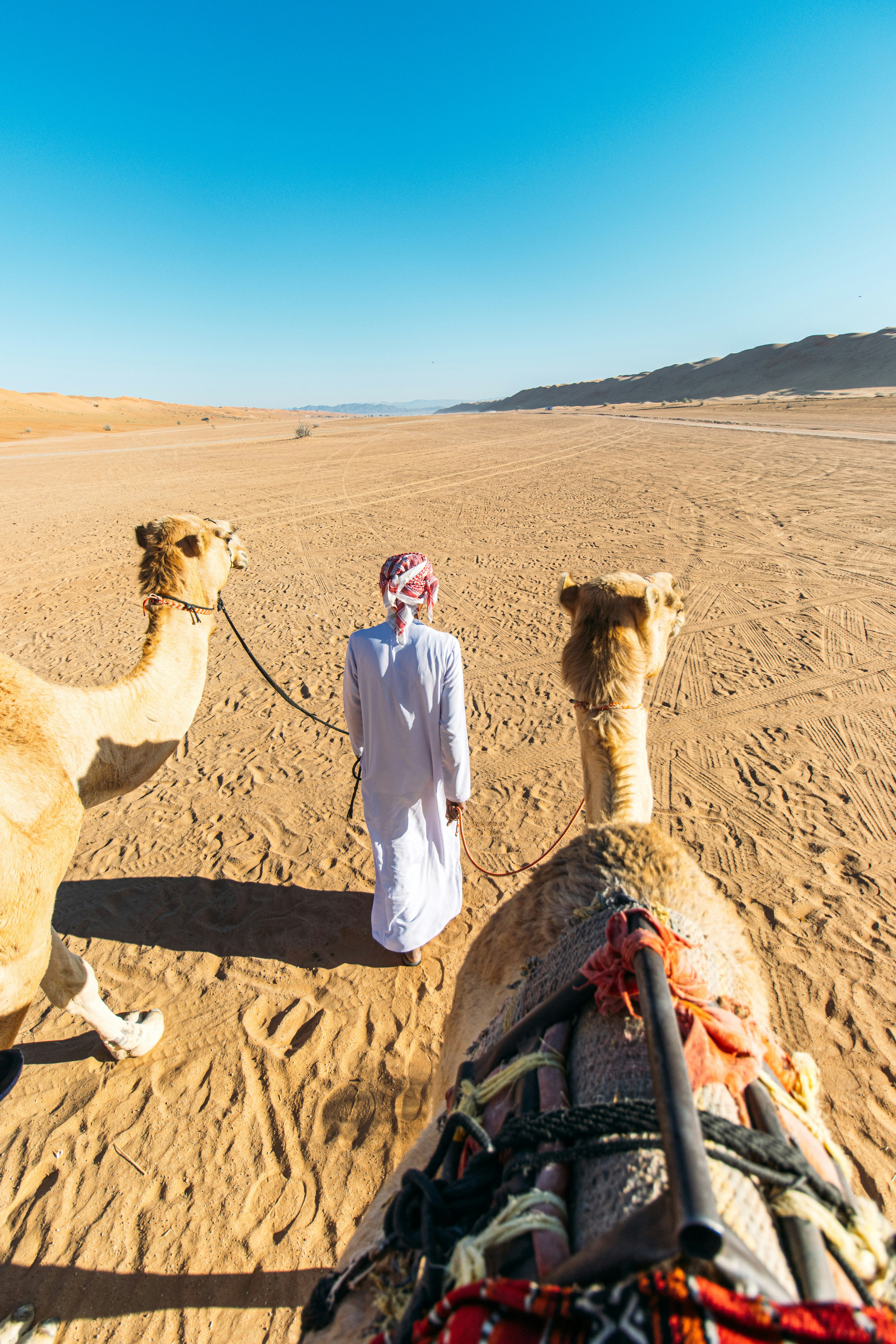 Desert Caravan: A Guide Leading the Dunes