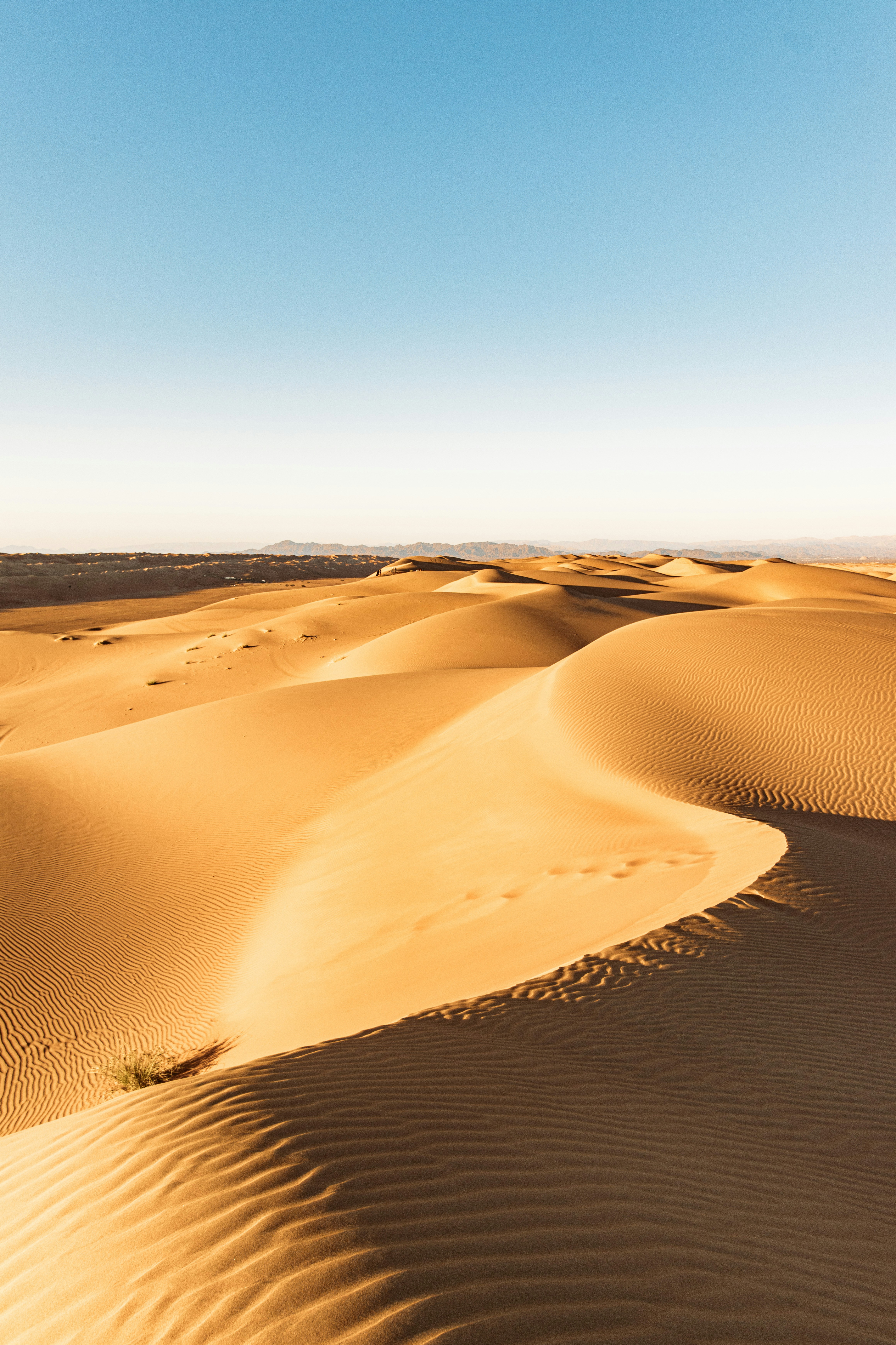 Sunlit Crest: Dunes Carved by Quiet Winds