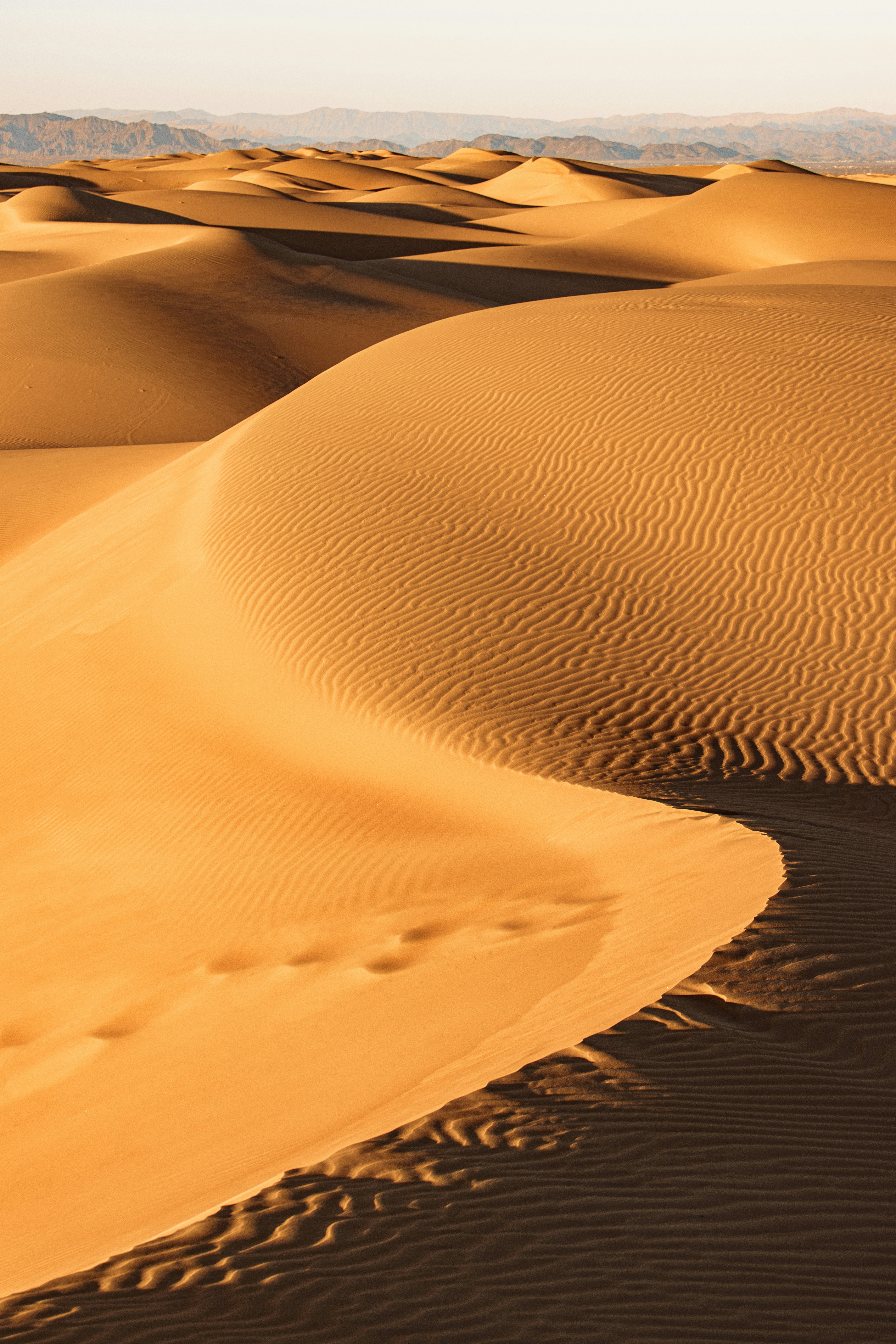 Golden Dune Crest: A Quiet Moment in the Endless Sea