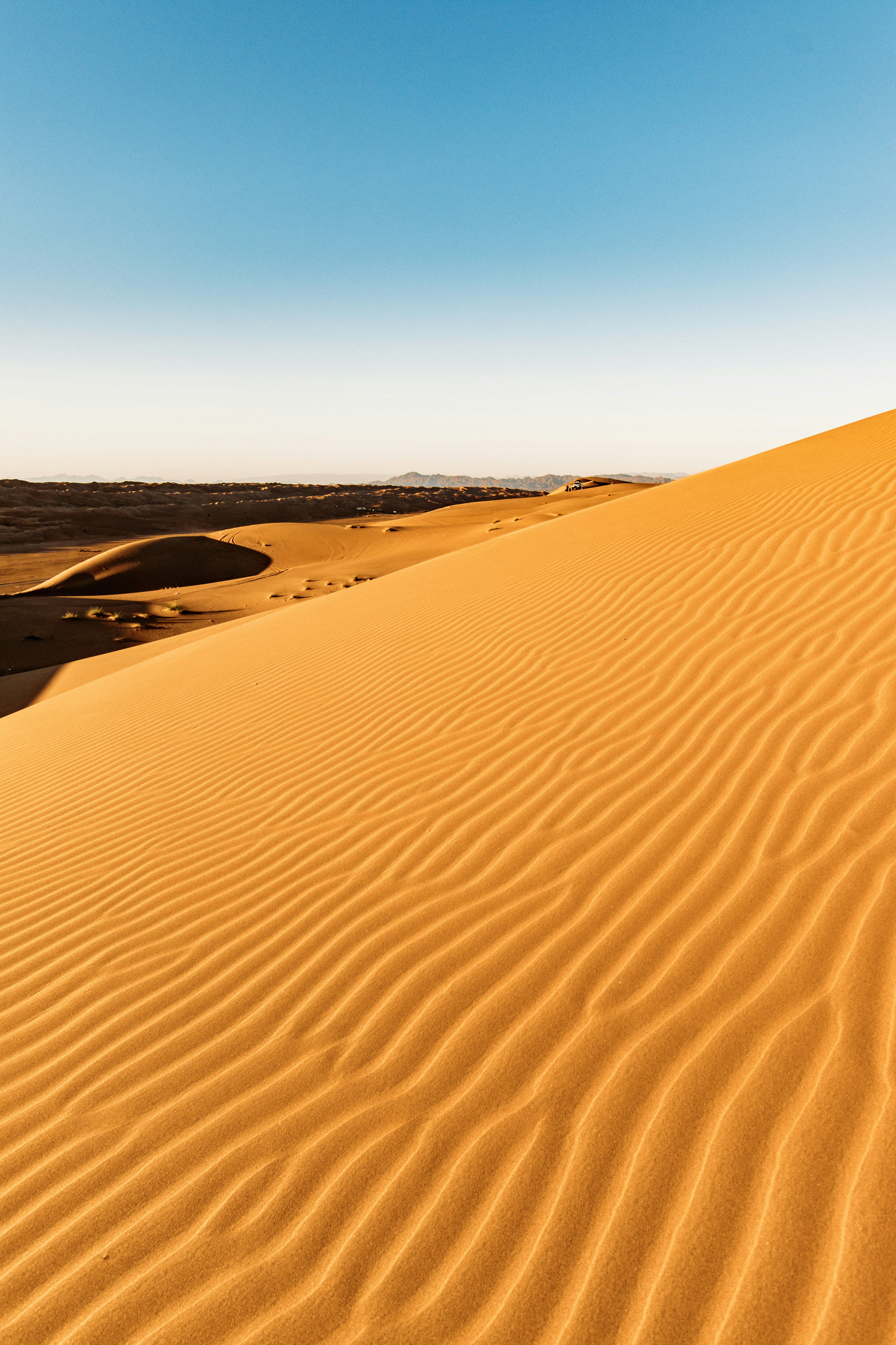 Golden Dunes Under a Clear Desert Sky
