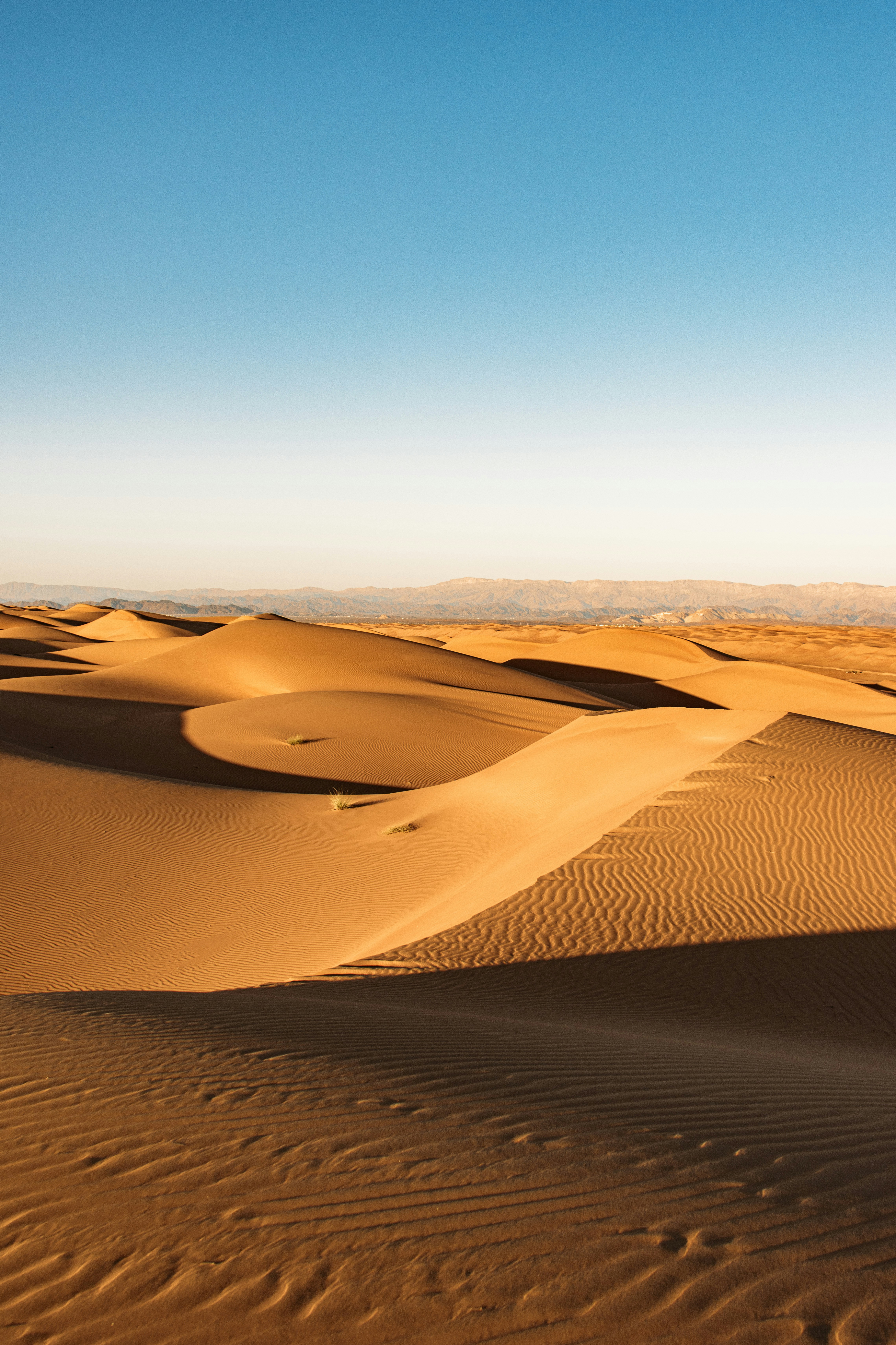 Golden Dune Symphony at Tangent Horizon