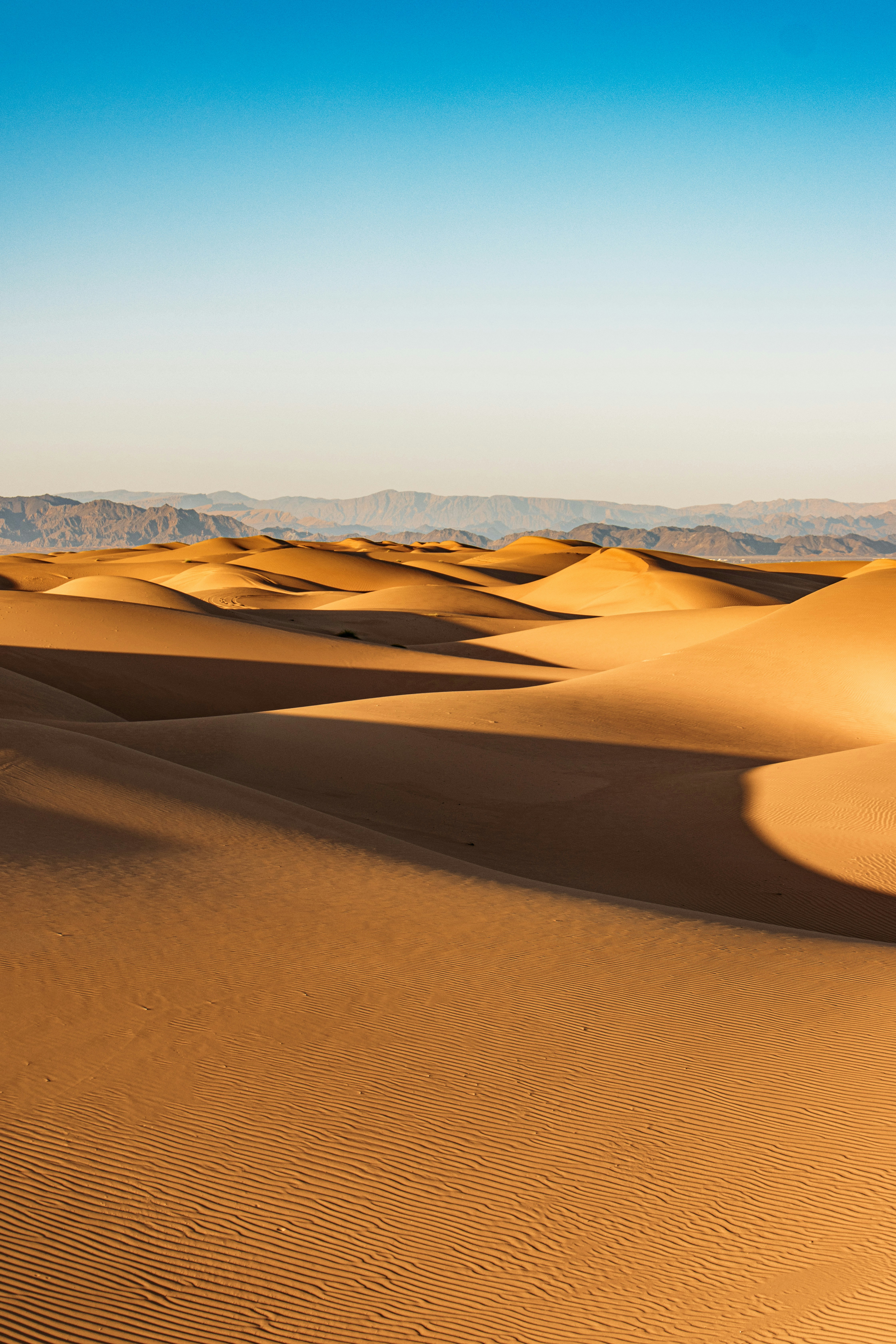 Golden Dunes under a Sky of Quiet Blue