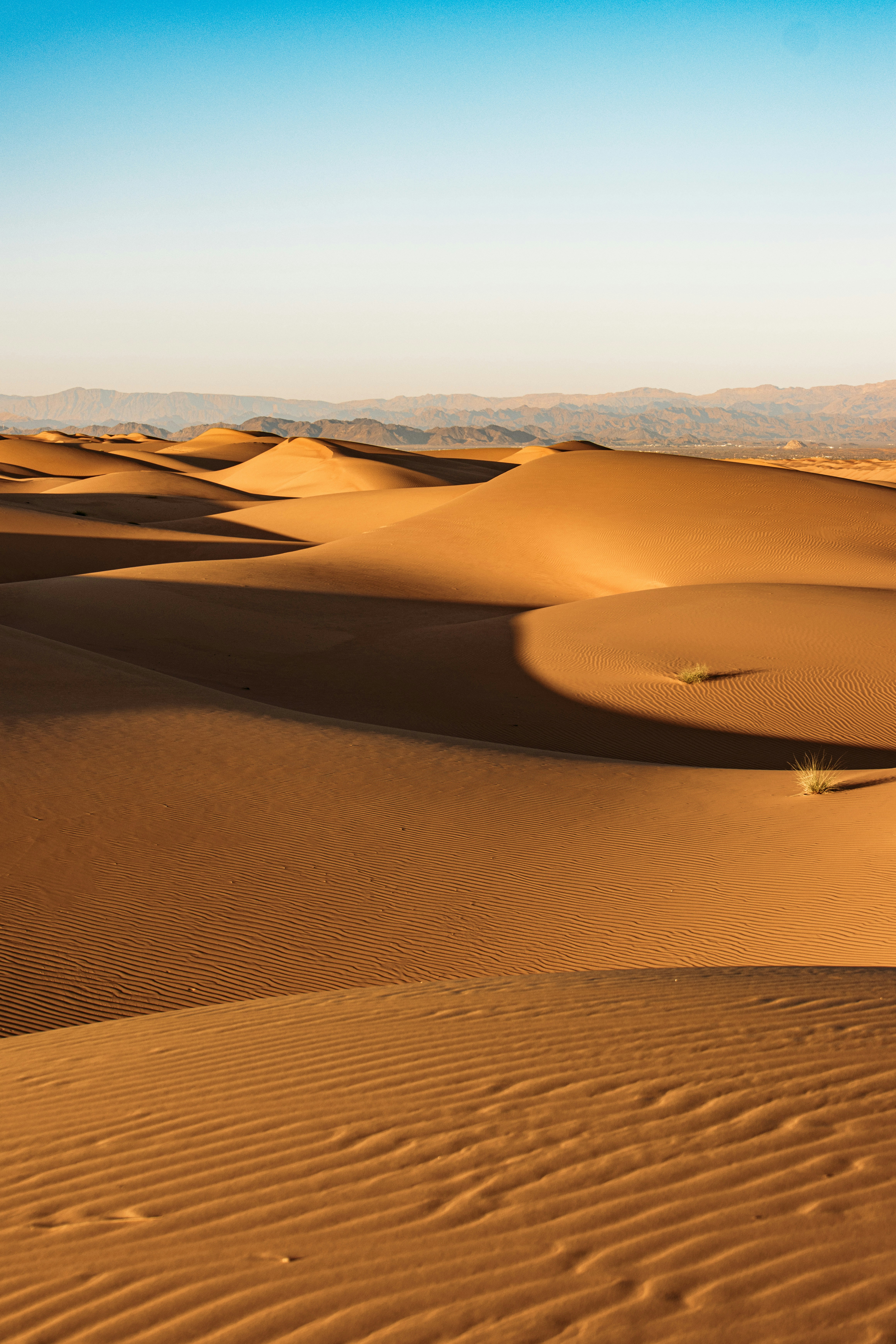 Golden Dunes at Twilight: Silent Waves of Sand