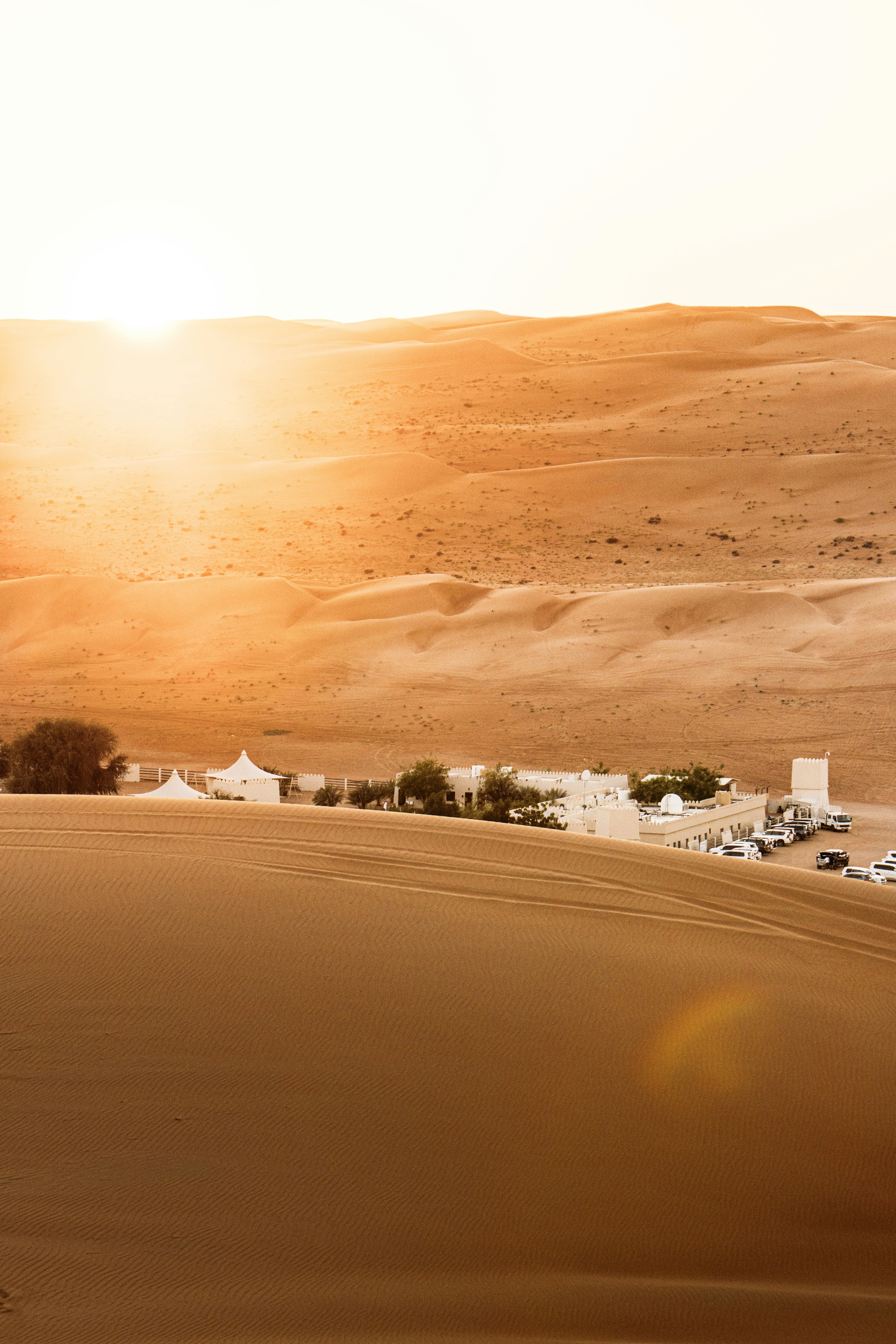 Desert Dawn over White Oasis Tents