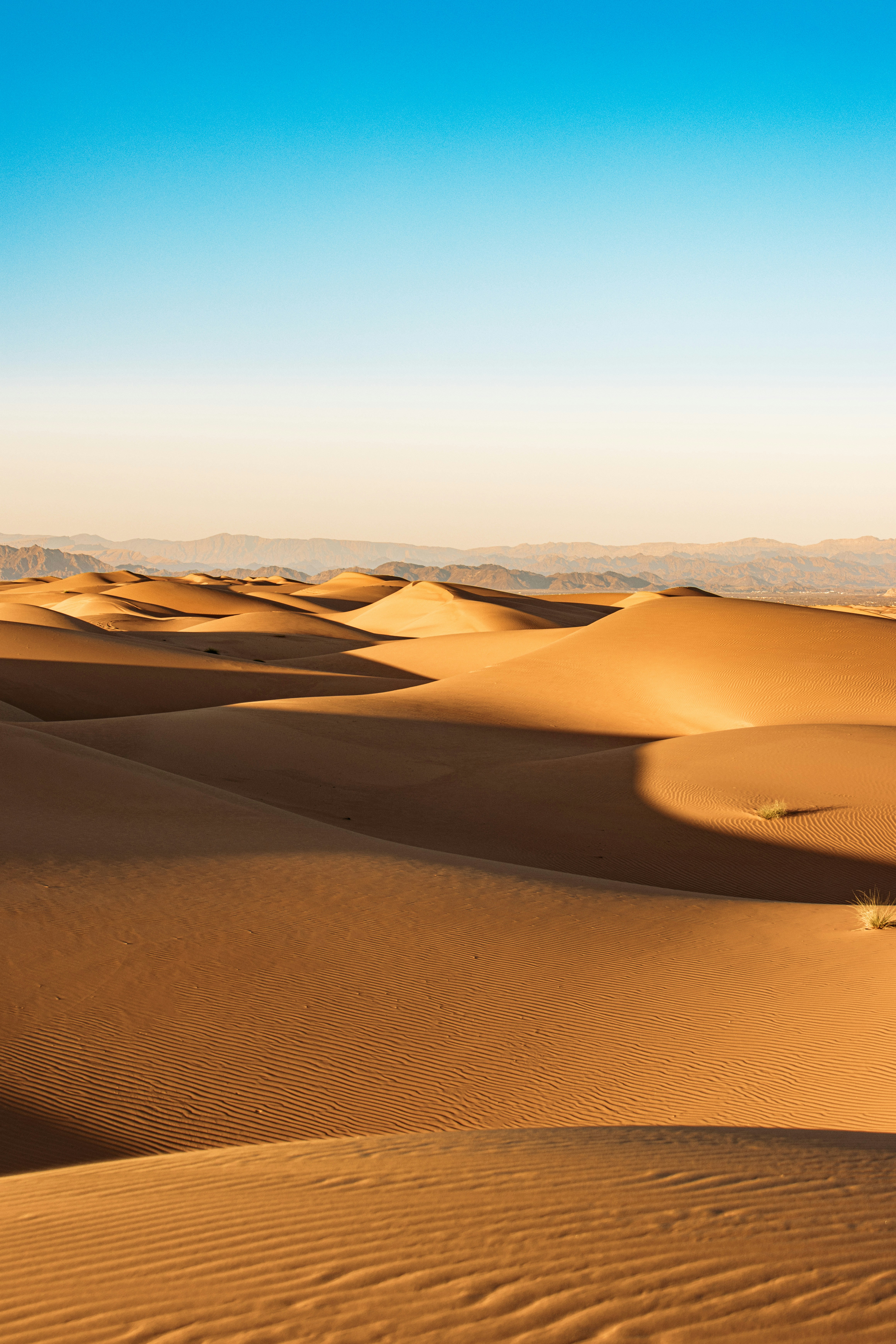 Sunlit Dunes: Quiet Curves and Endless Horizon