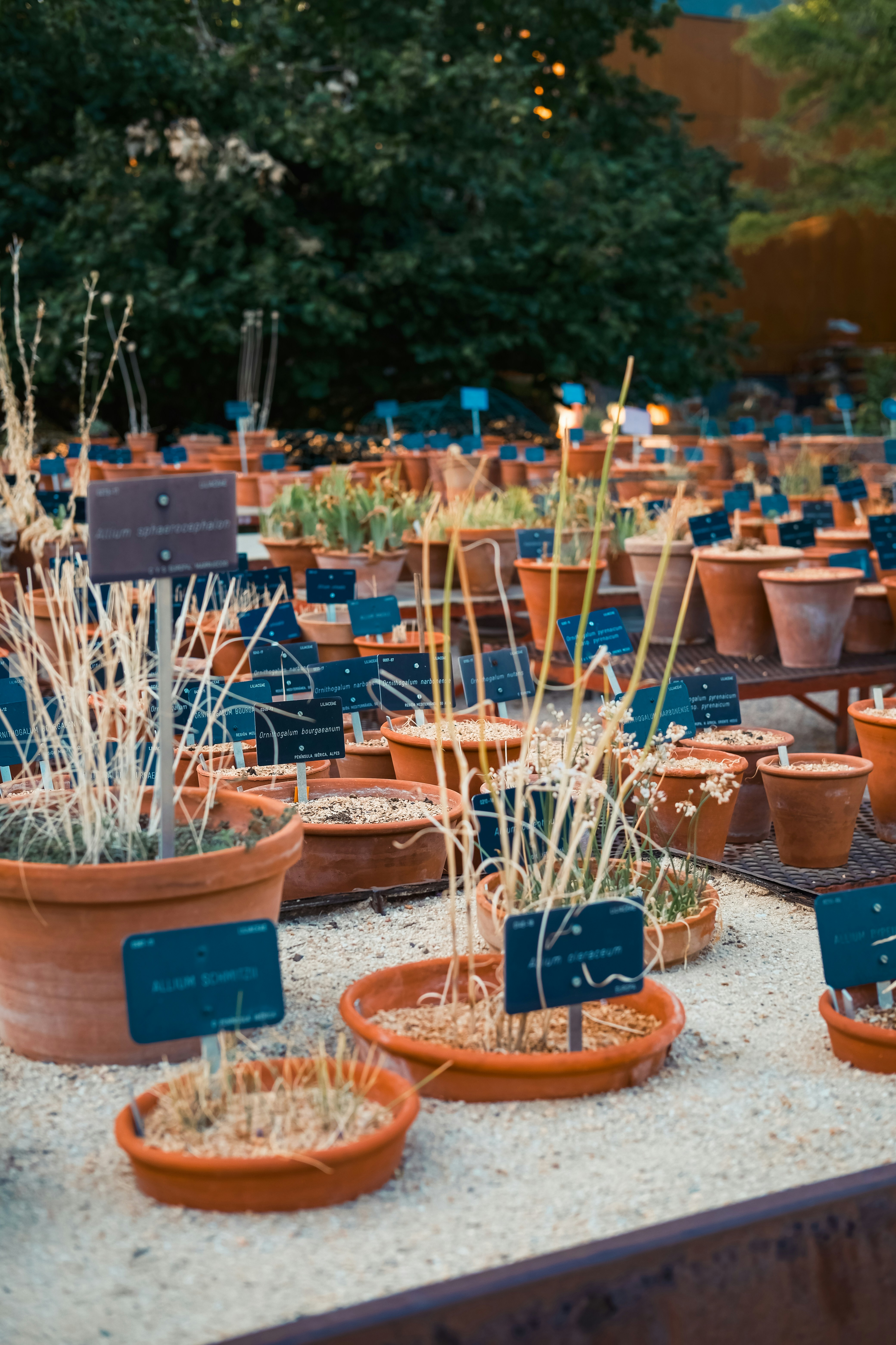 Terracotta Pots on a Garden Center Stage