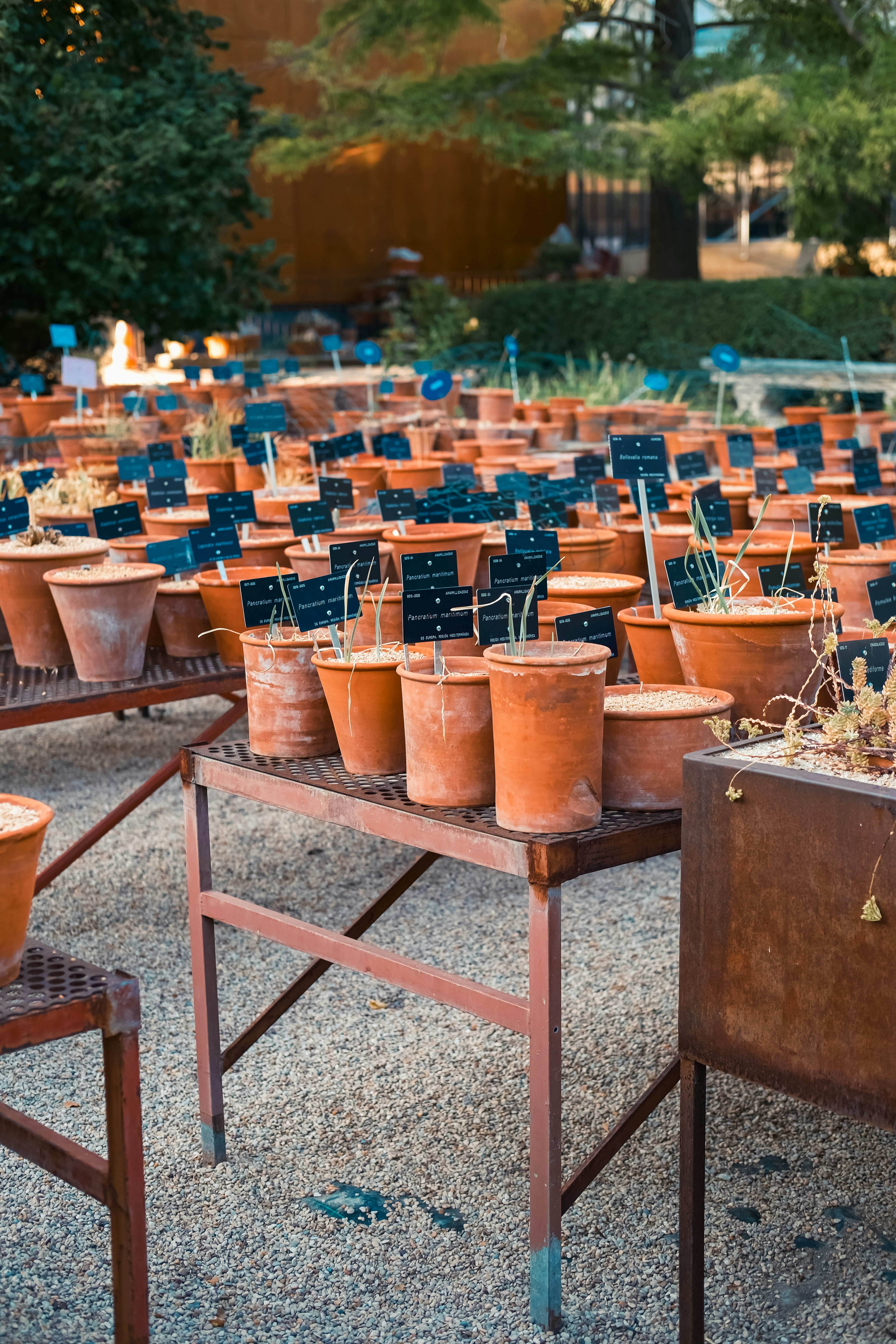 Terracotta Pots in the Gallery of Pebble and Shadow