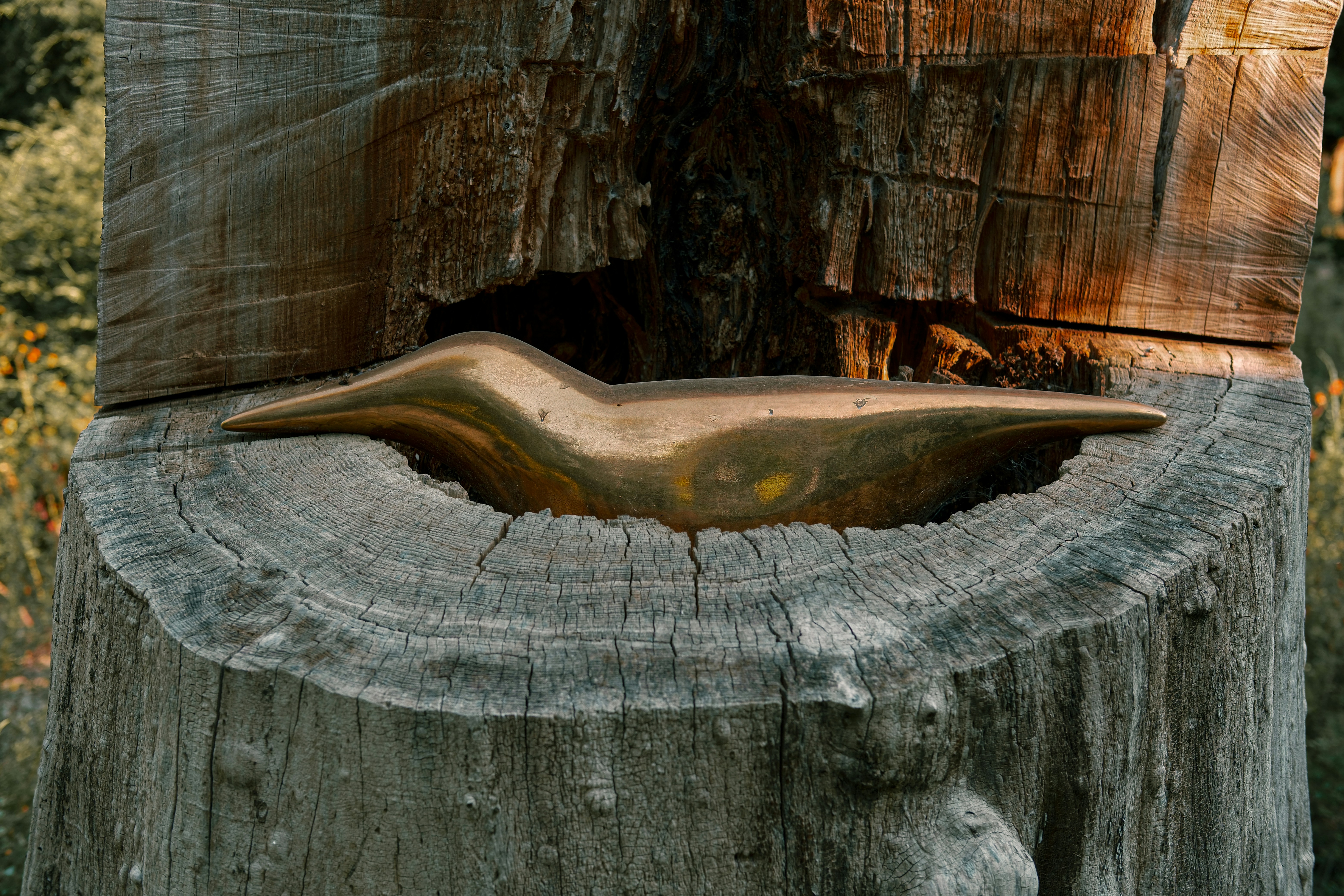 Carved Gentle S-curve: A Bronze Log Lip in a Weathered Split