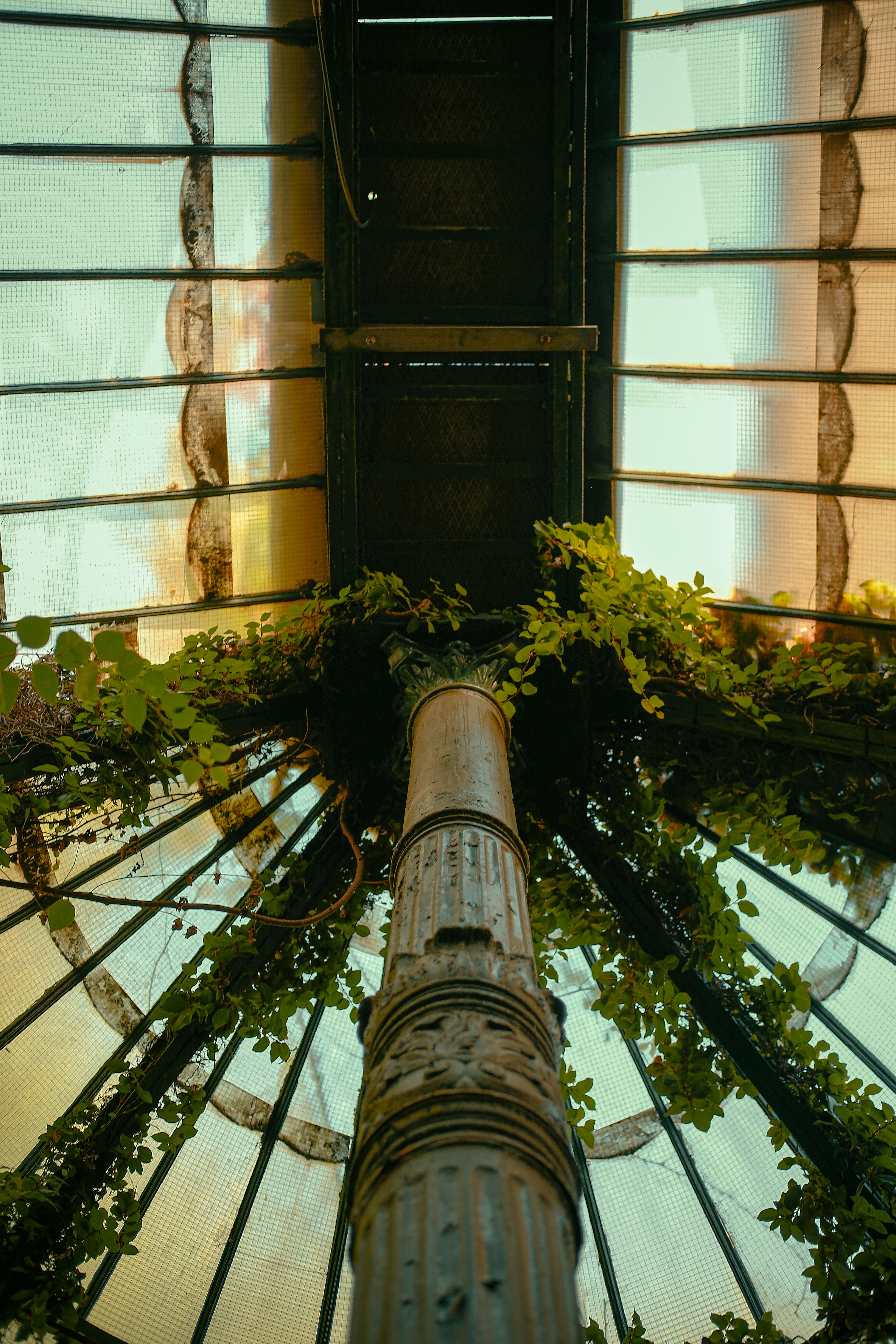 Centrifugal Garden: A Plantwhelms the Column in a Glass Cylindrical Atrium