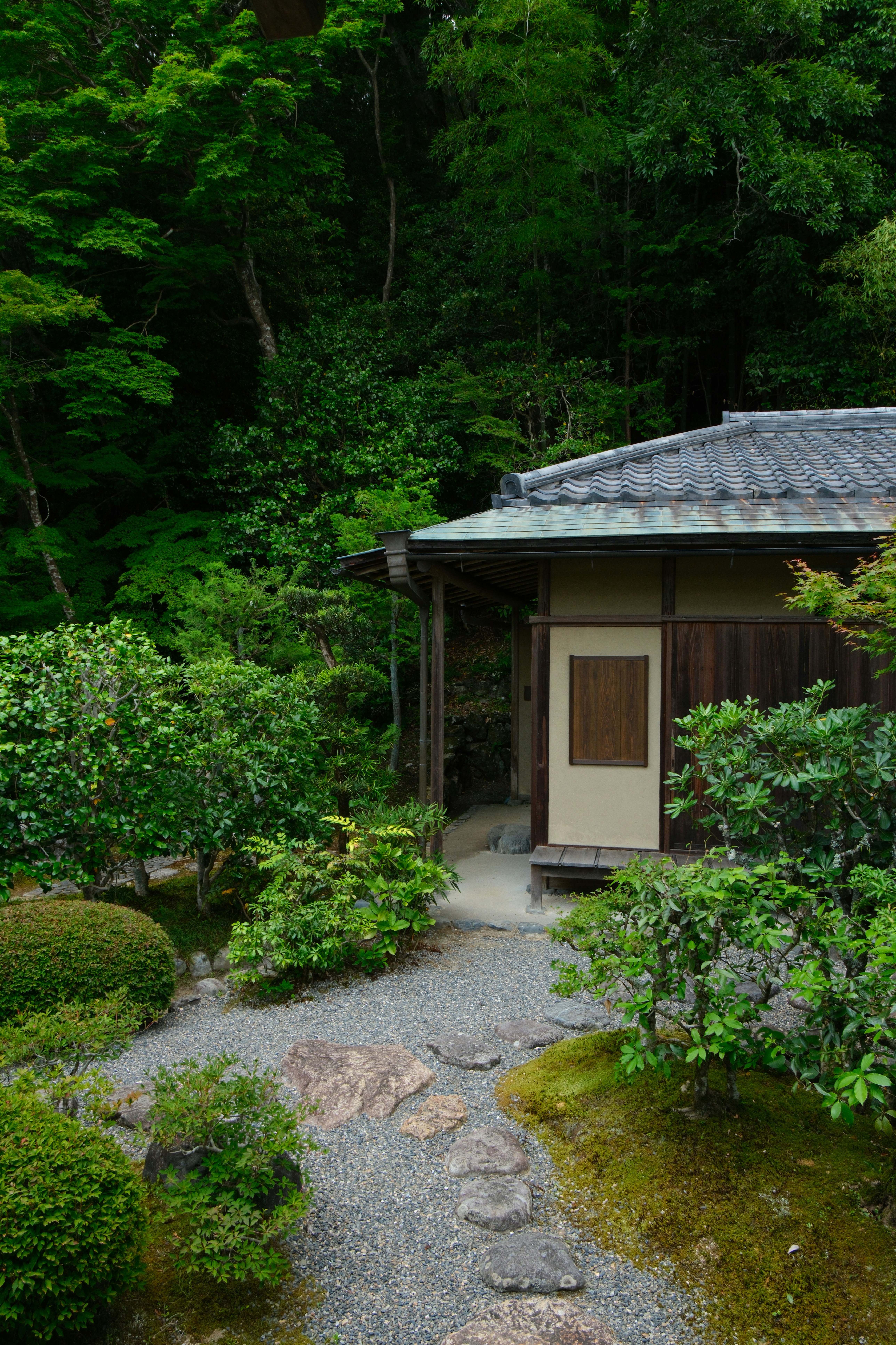 Tranquil Teahouse Cloaked in Green