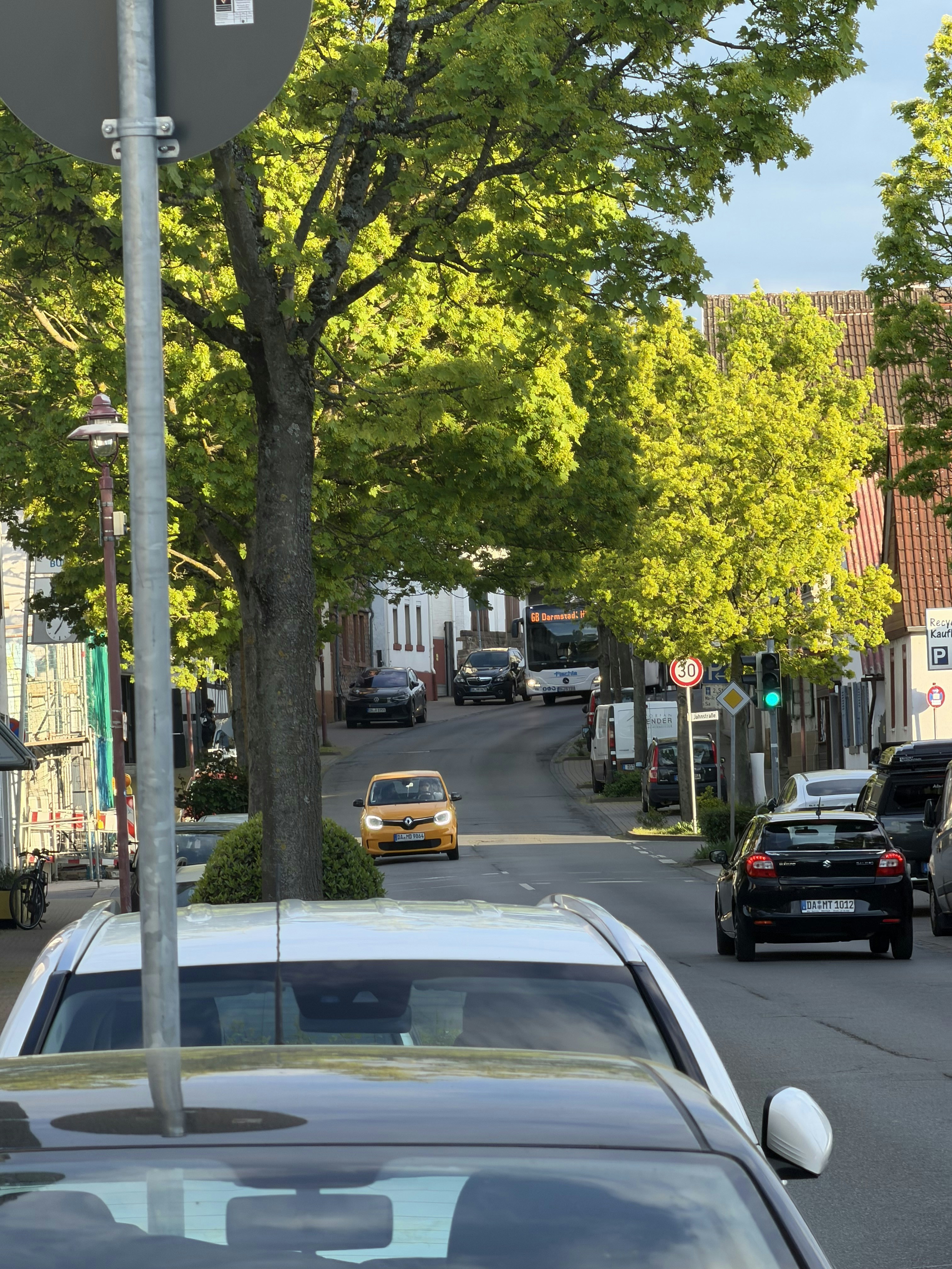Street in sunlight: a city lane lined with green canopies and parked cars