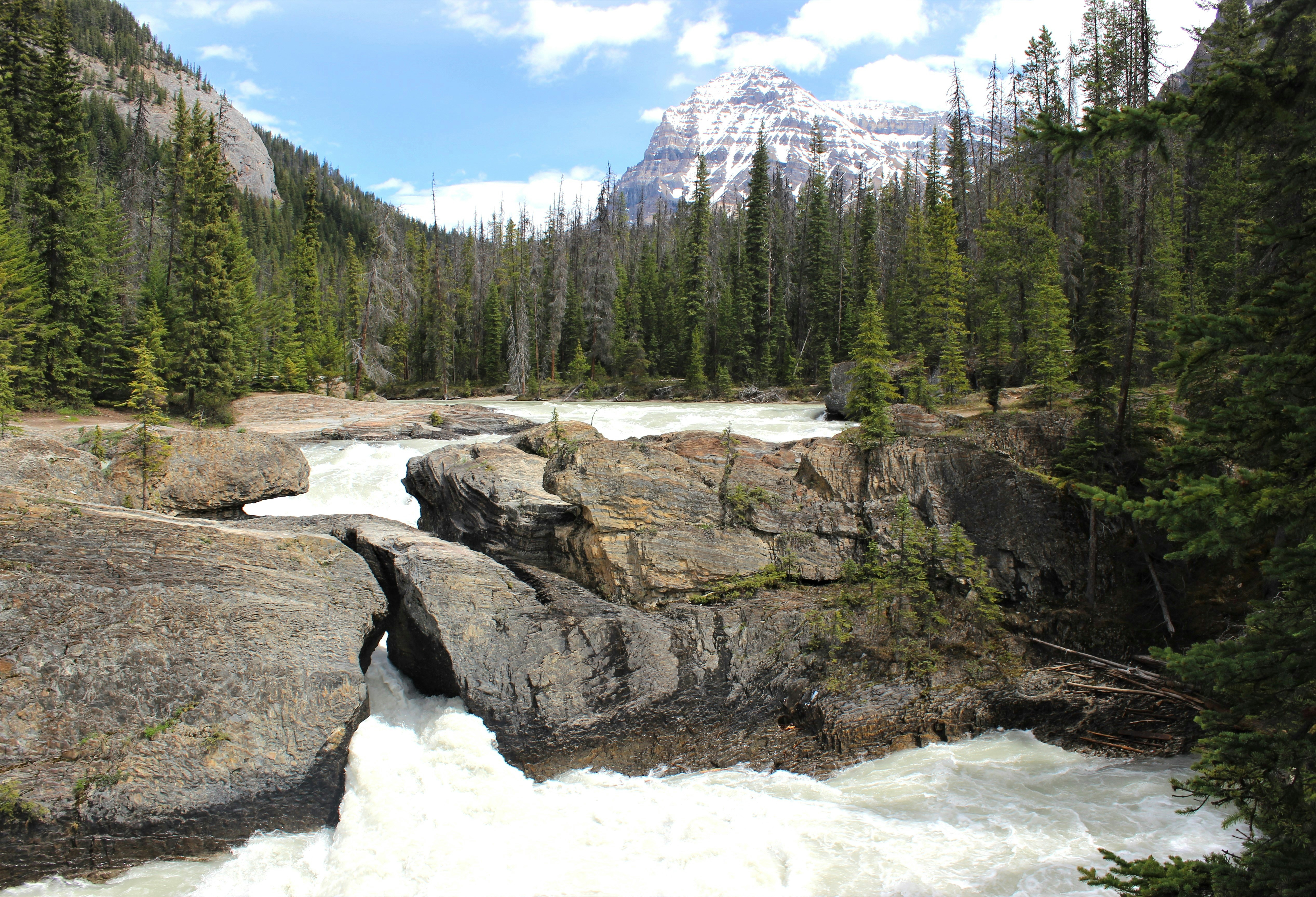 Rushing River through Granite Gully Under Alpine Peaks
