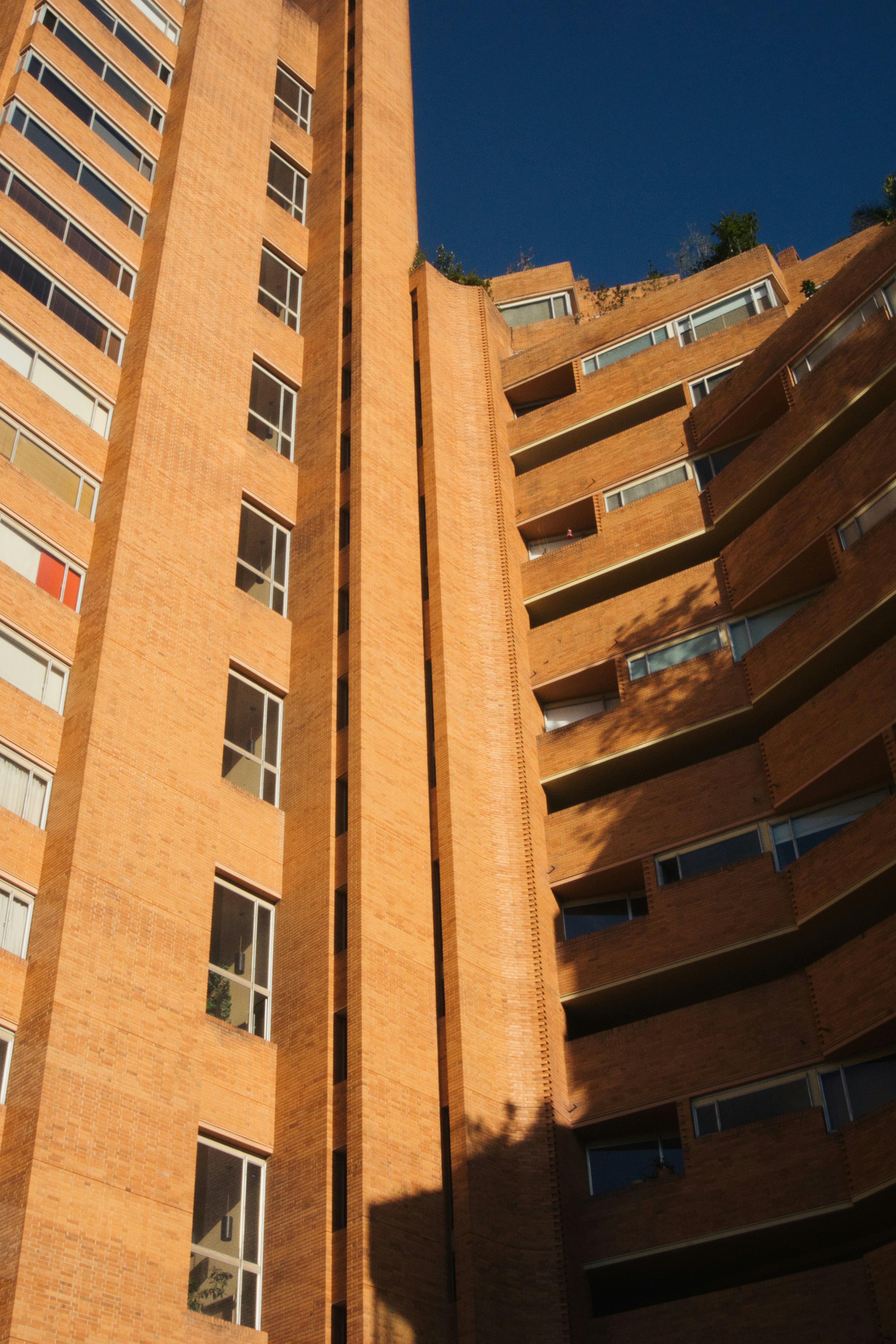 Vertical Bricks: Sunlit Facades and Deep Shadows