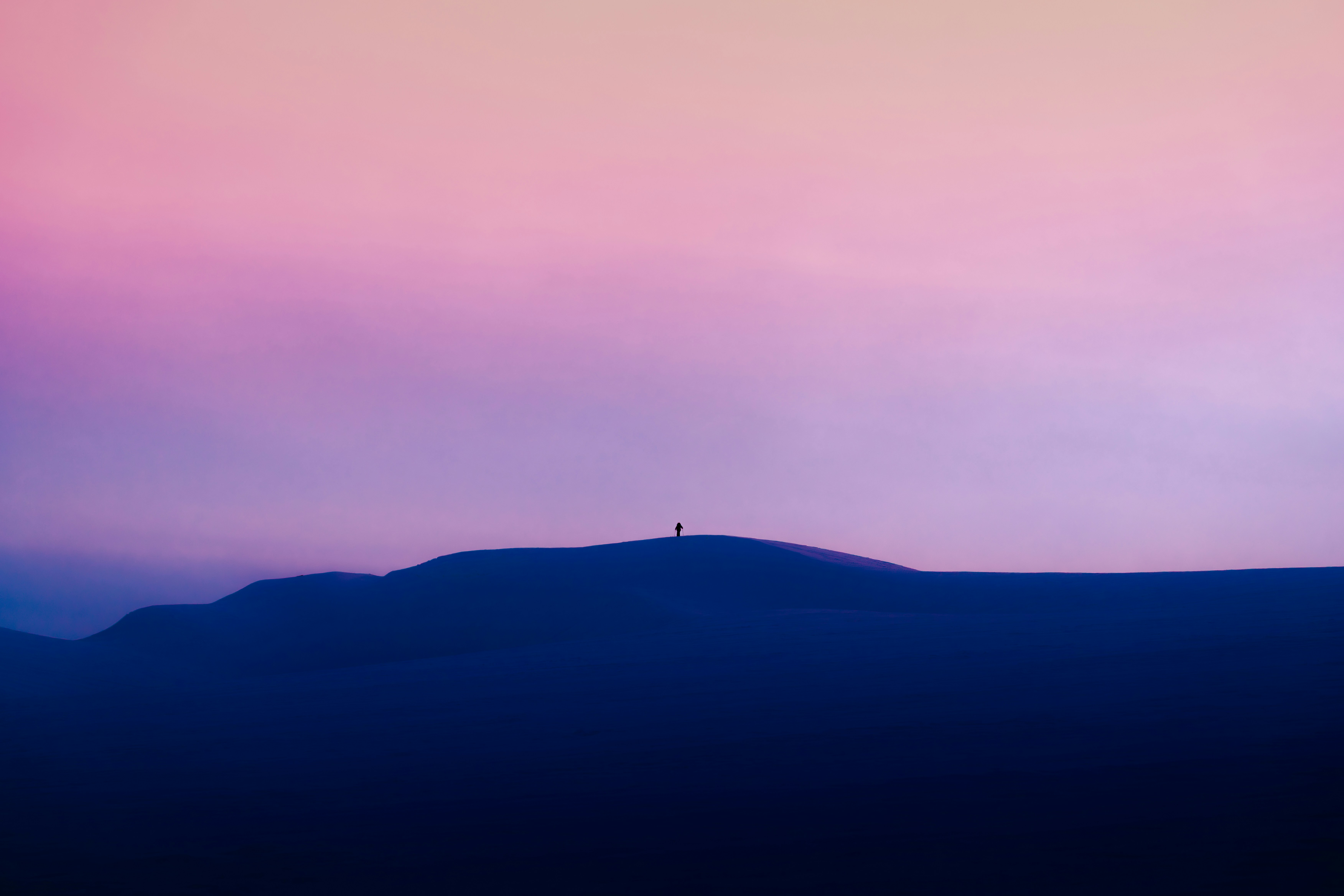 Dawn Sentinel on a Moonlit Ridge