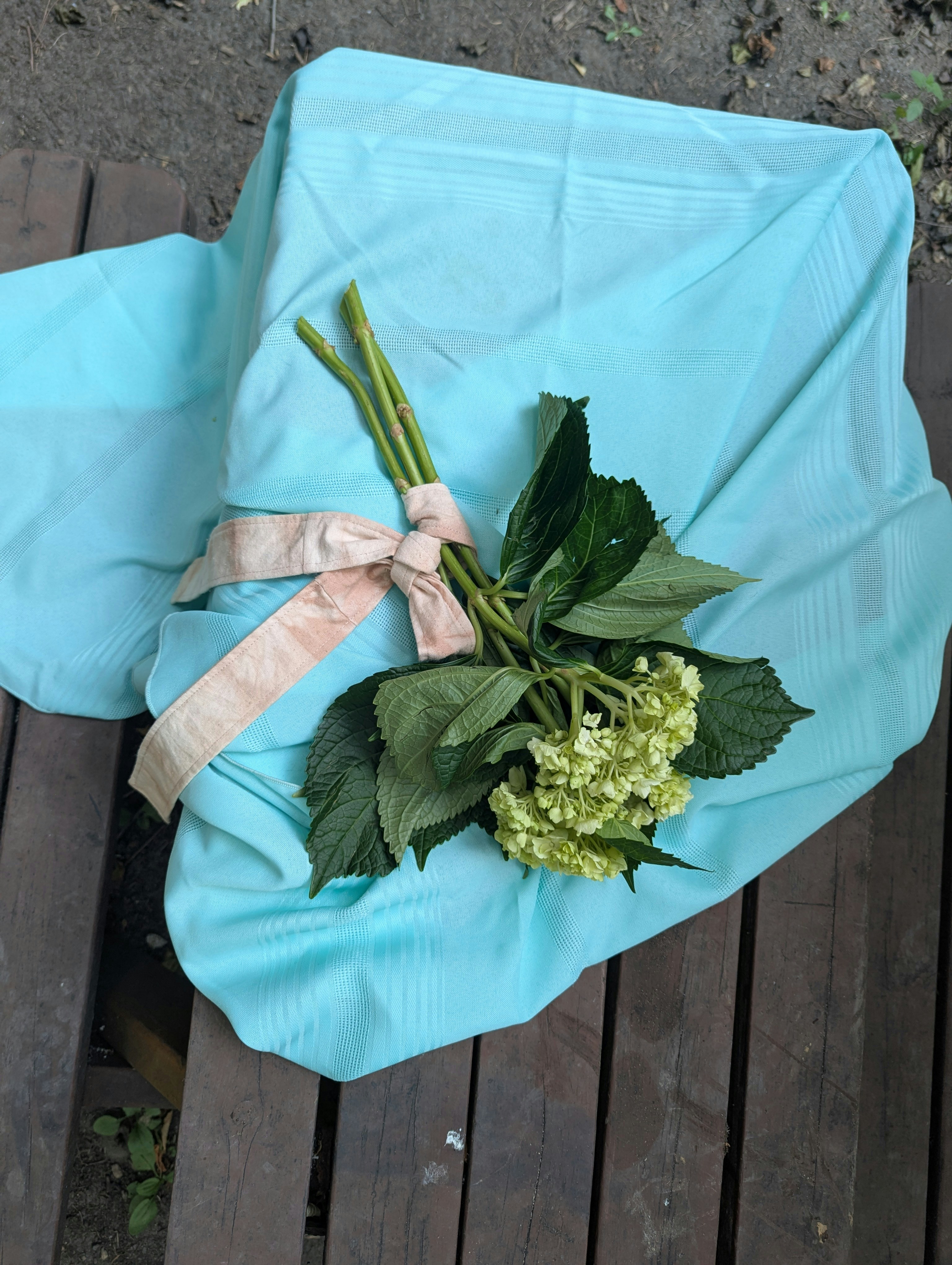 Blue-Tented Bouquet on a Wooden Bench