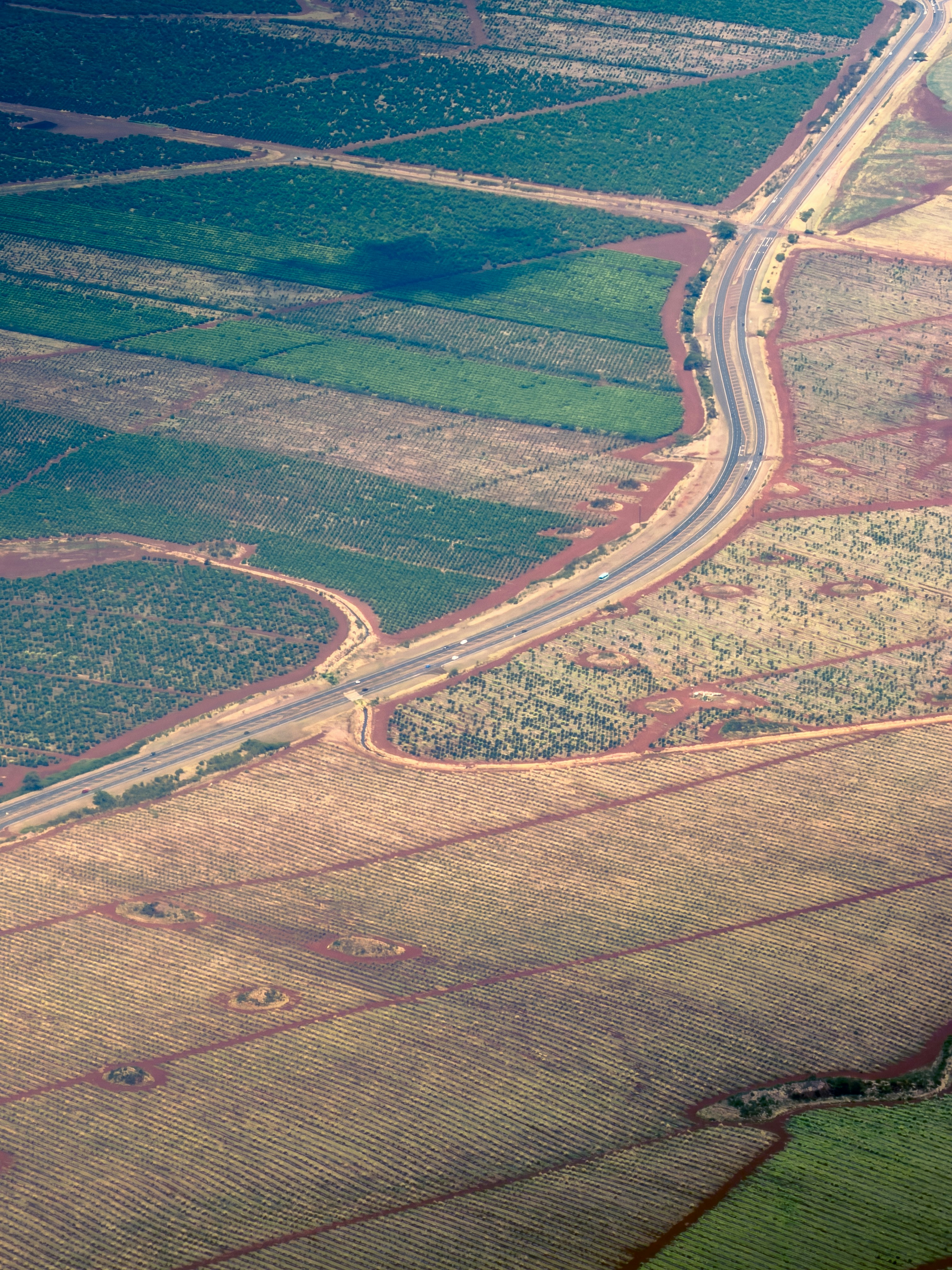 Curving Rural Ribbon: Aerial View Through Irrigated Fields