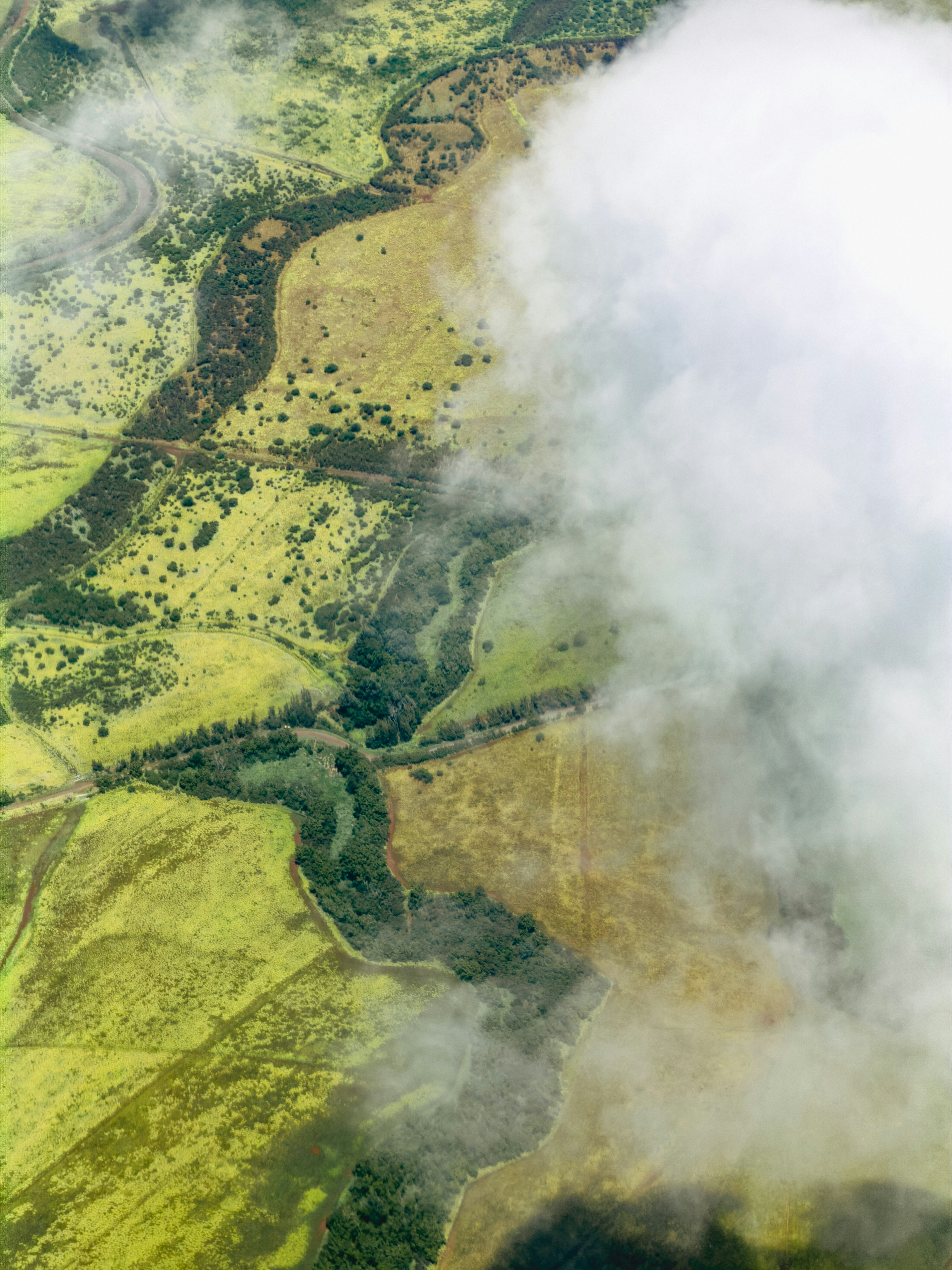 Clouds Part Over Verdant Ripples: Aerial Fields Under Soft Mist