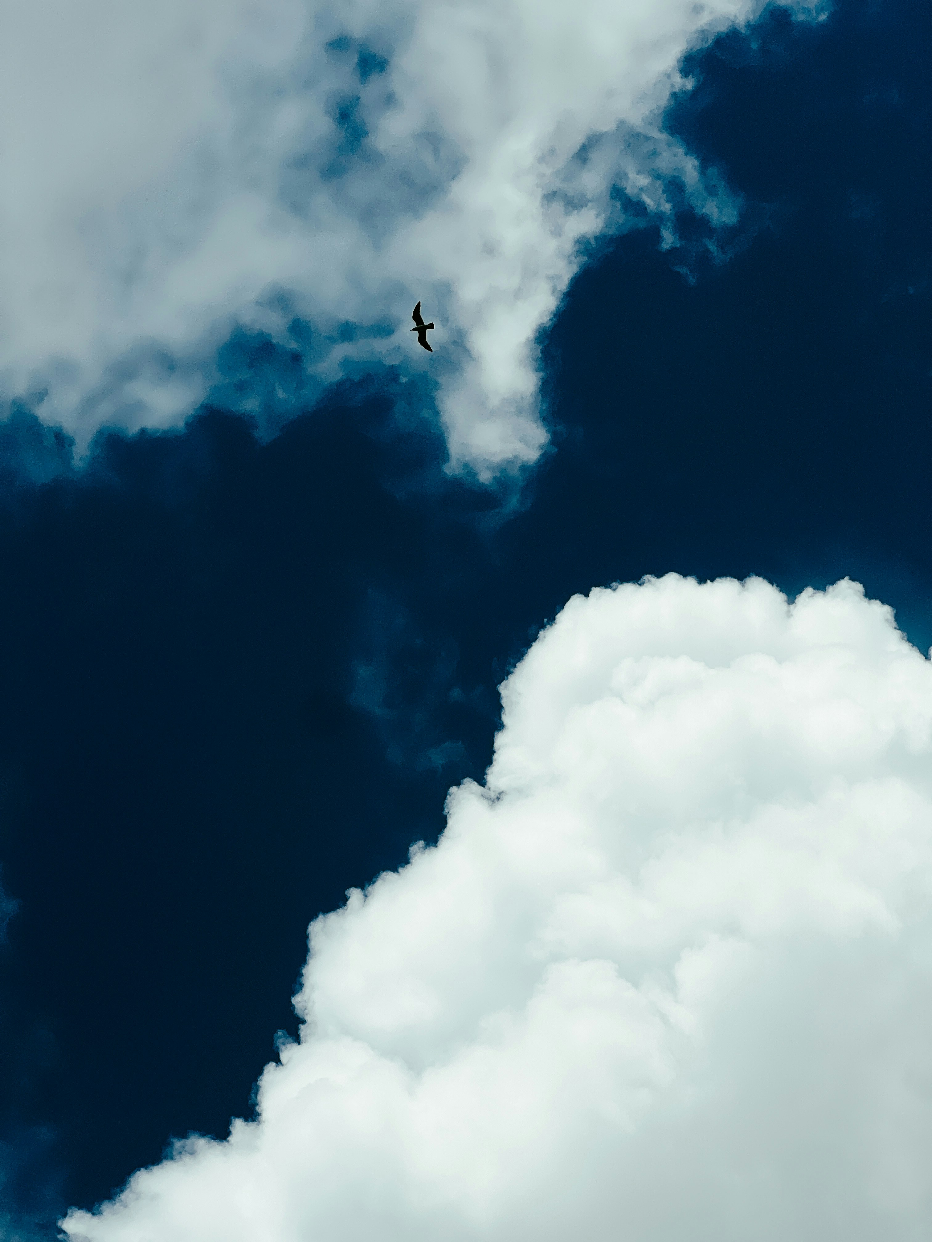 Solo Flight Above the Blue Abyss