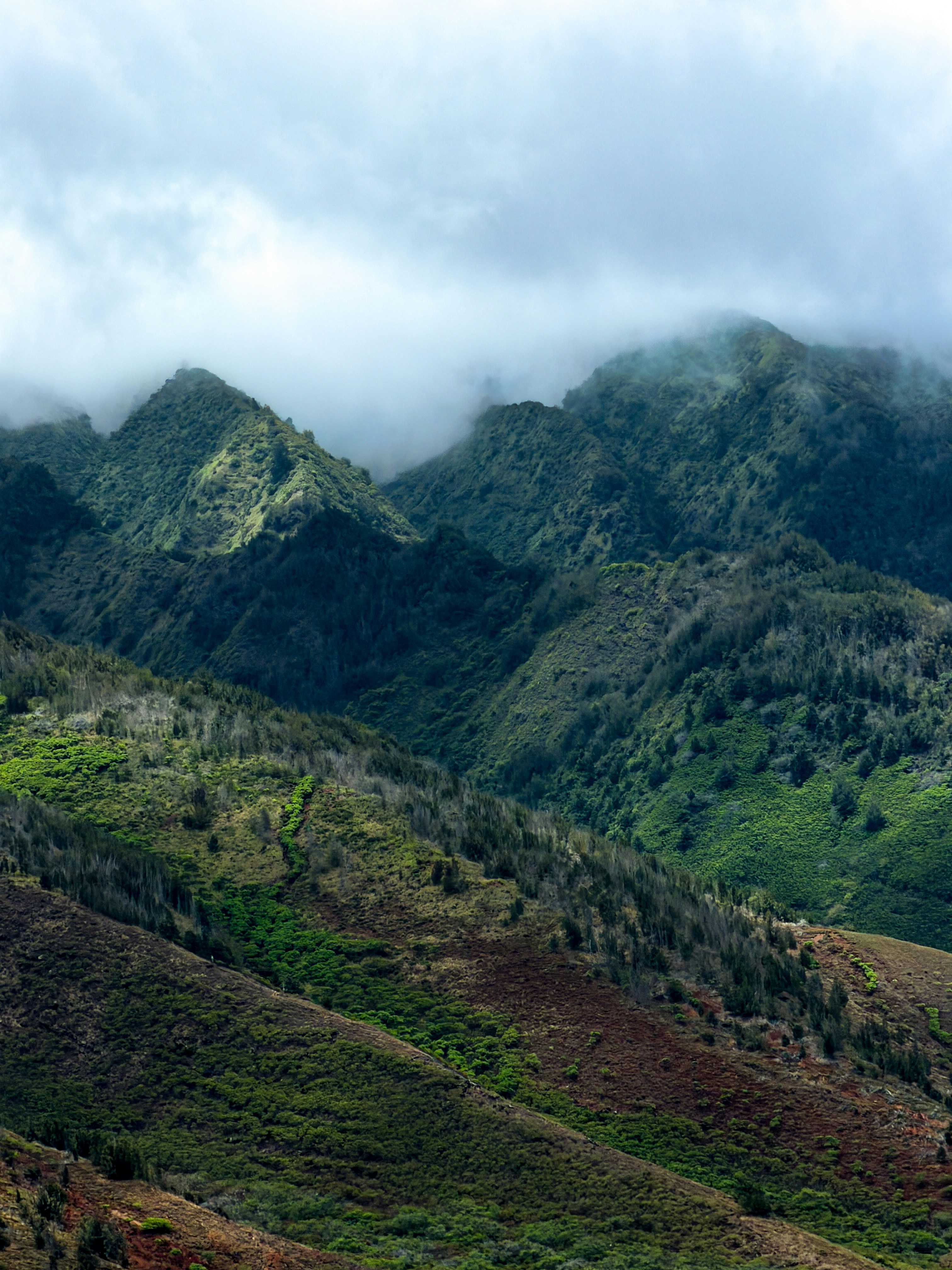 Mist Over Verdant Ridges: A Mountain Corridor Shrouded in Cloud