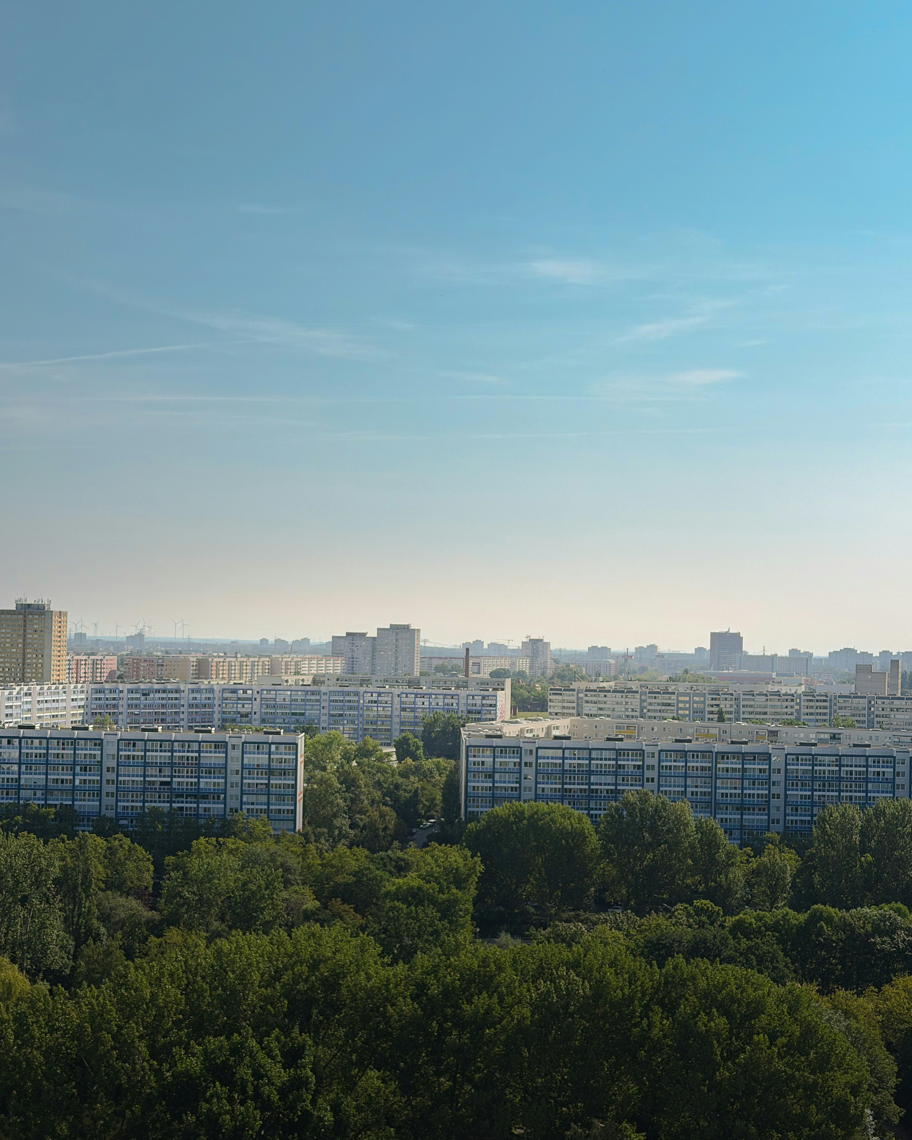Morning Glass Over the City: A Horizon of Trees and Blocks