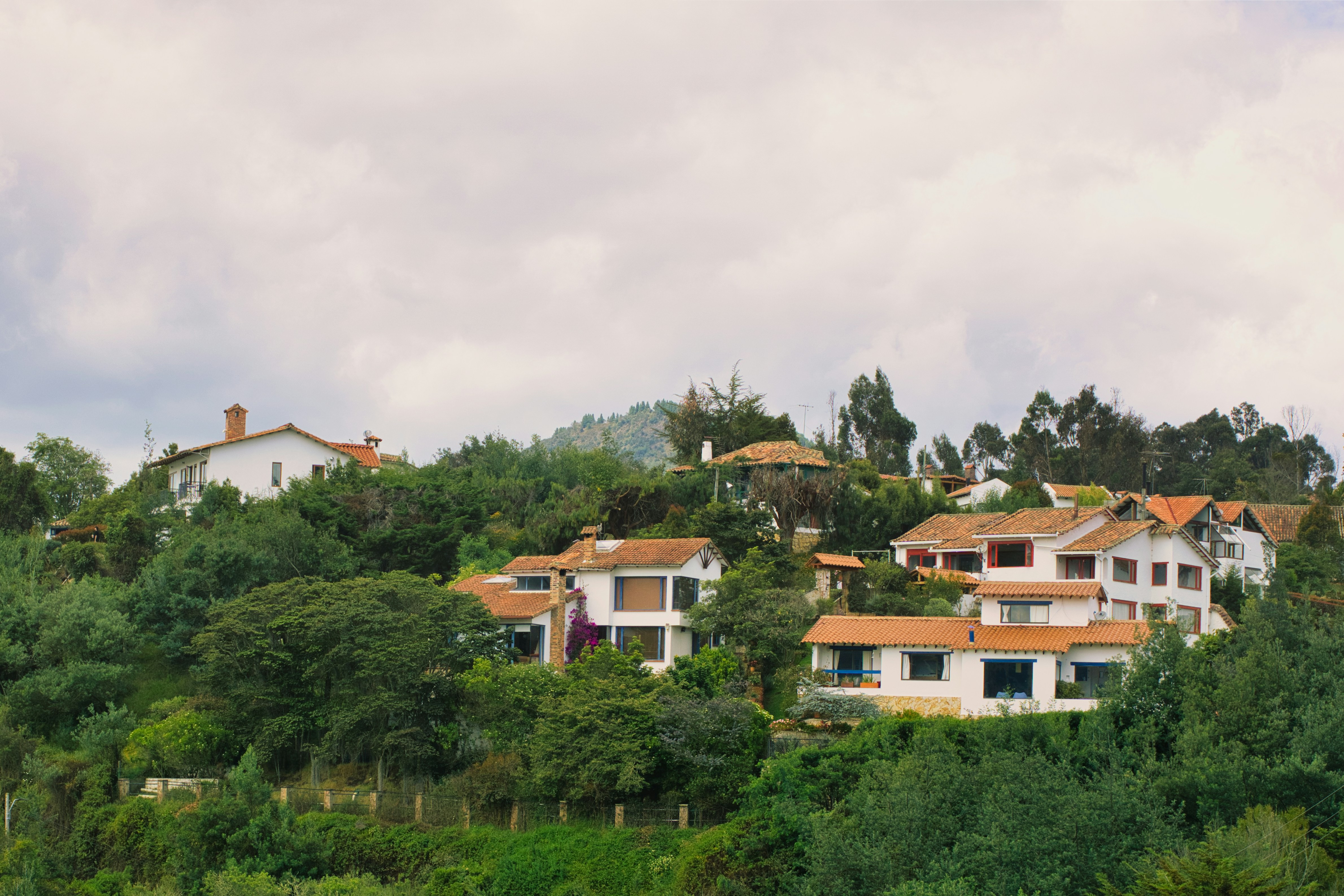 Haven on the Hill: Cluster of white-walled homes with orange roofs nestled in green woodland