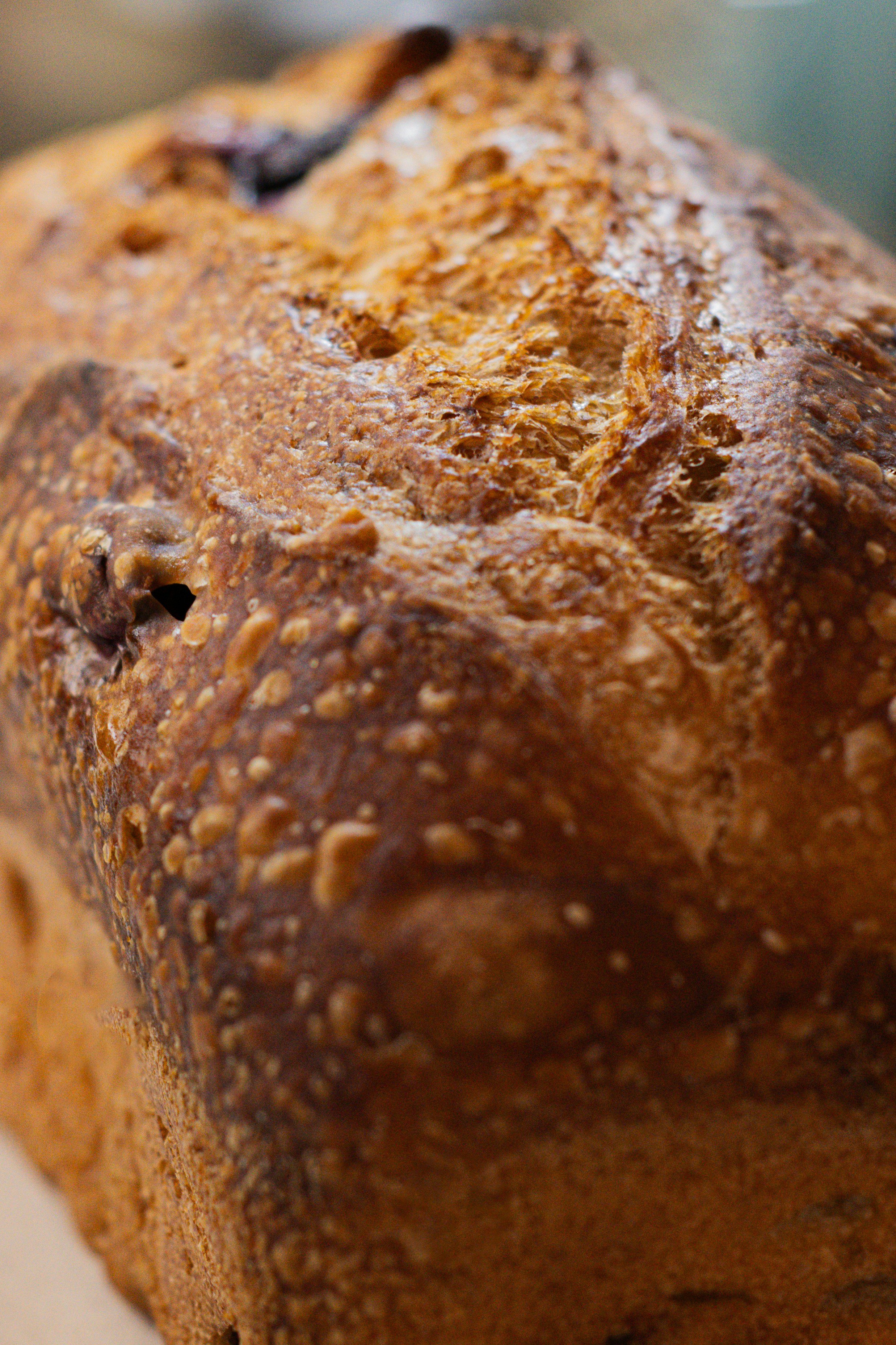 Crusty Harvest: A Loaf of Garden-Variety Sourdough