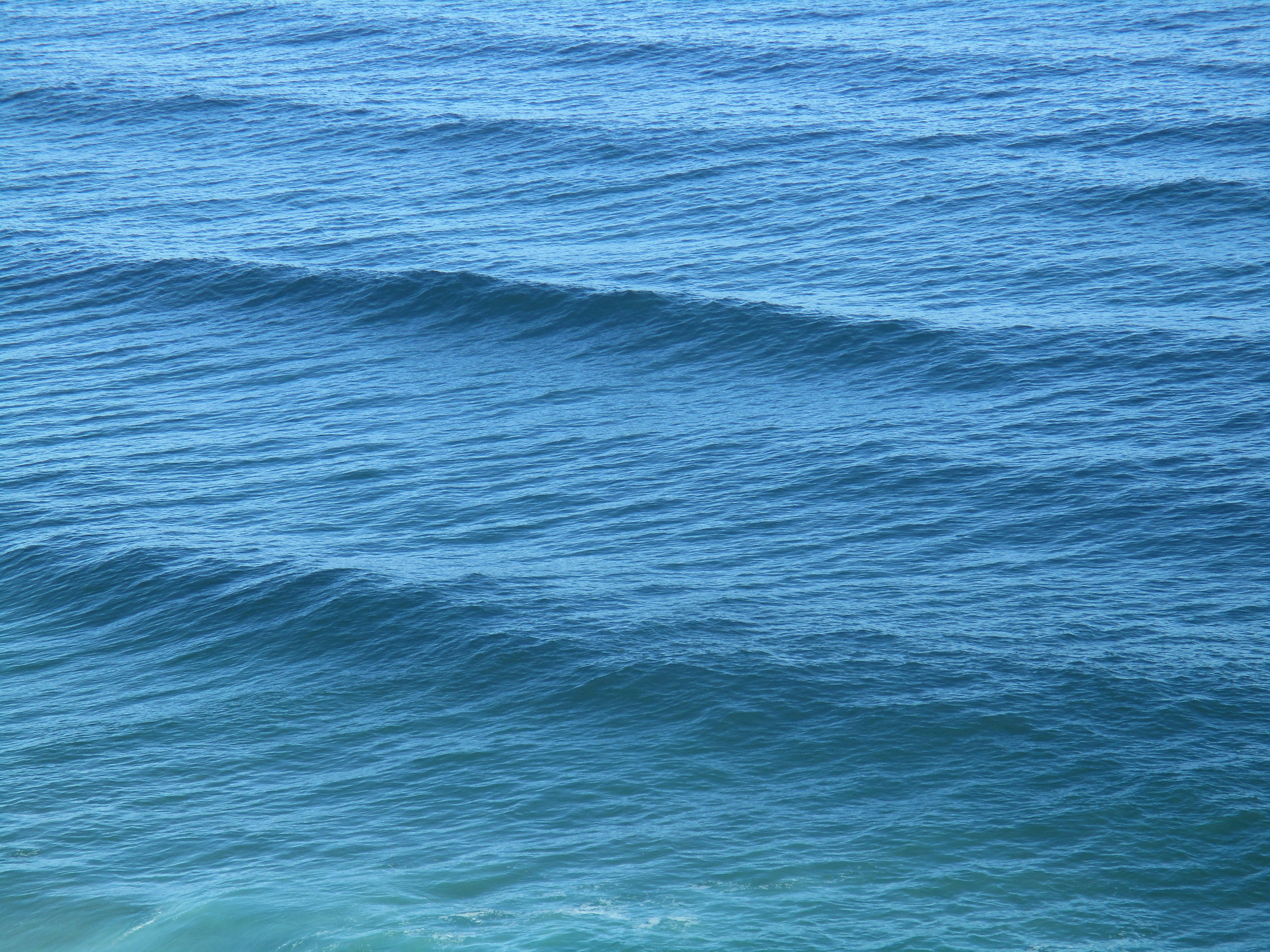 Oceanic Ribbons: Quiet Blue Currents