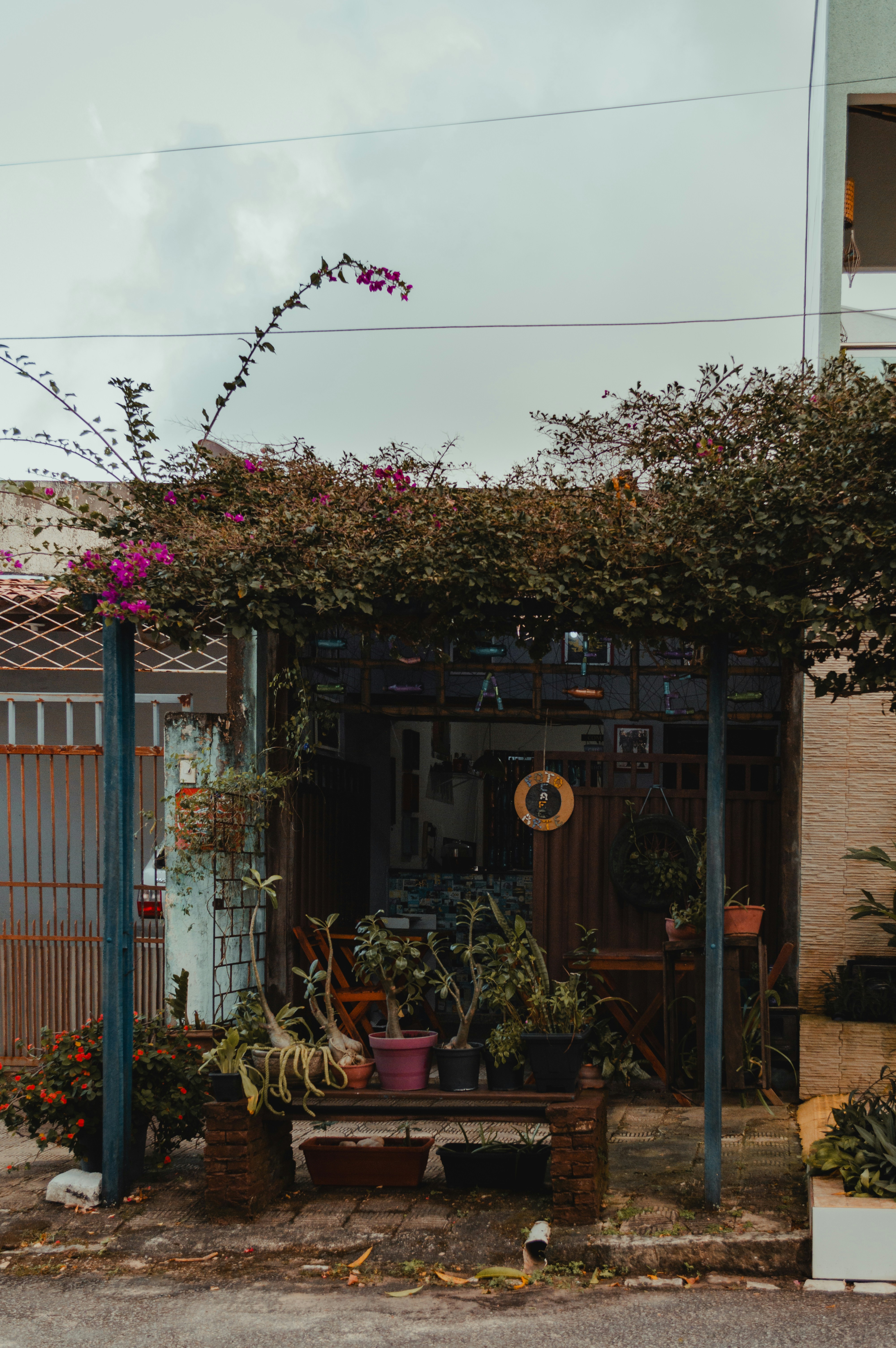 Oasis Under the Pergola: A Small Urban Garden Shop Framed by Crisscrossed Wires