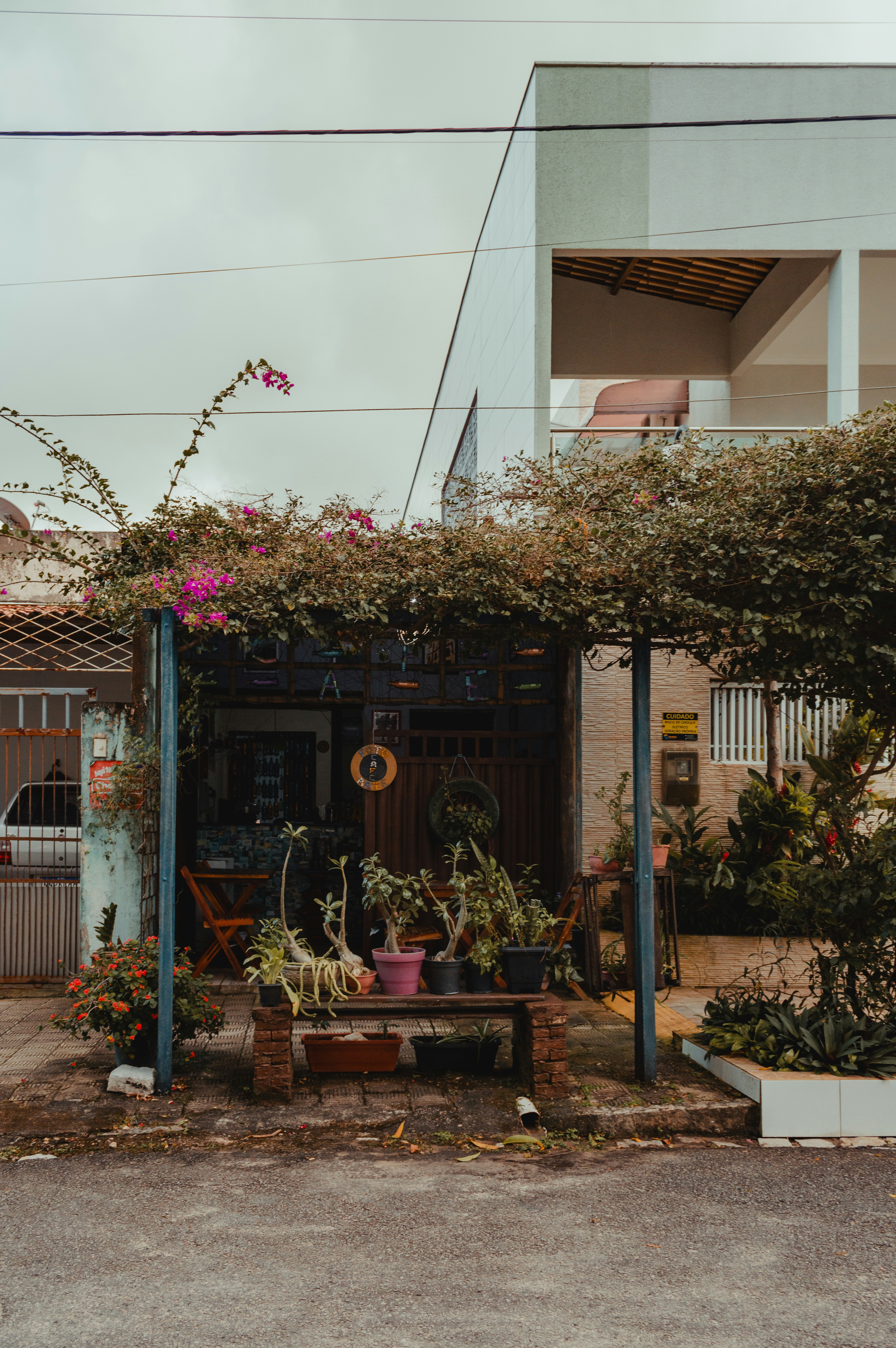 Garden Café Under a Floral Canopy beside a Modern Terrace