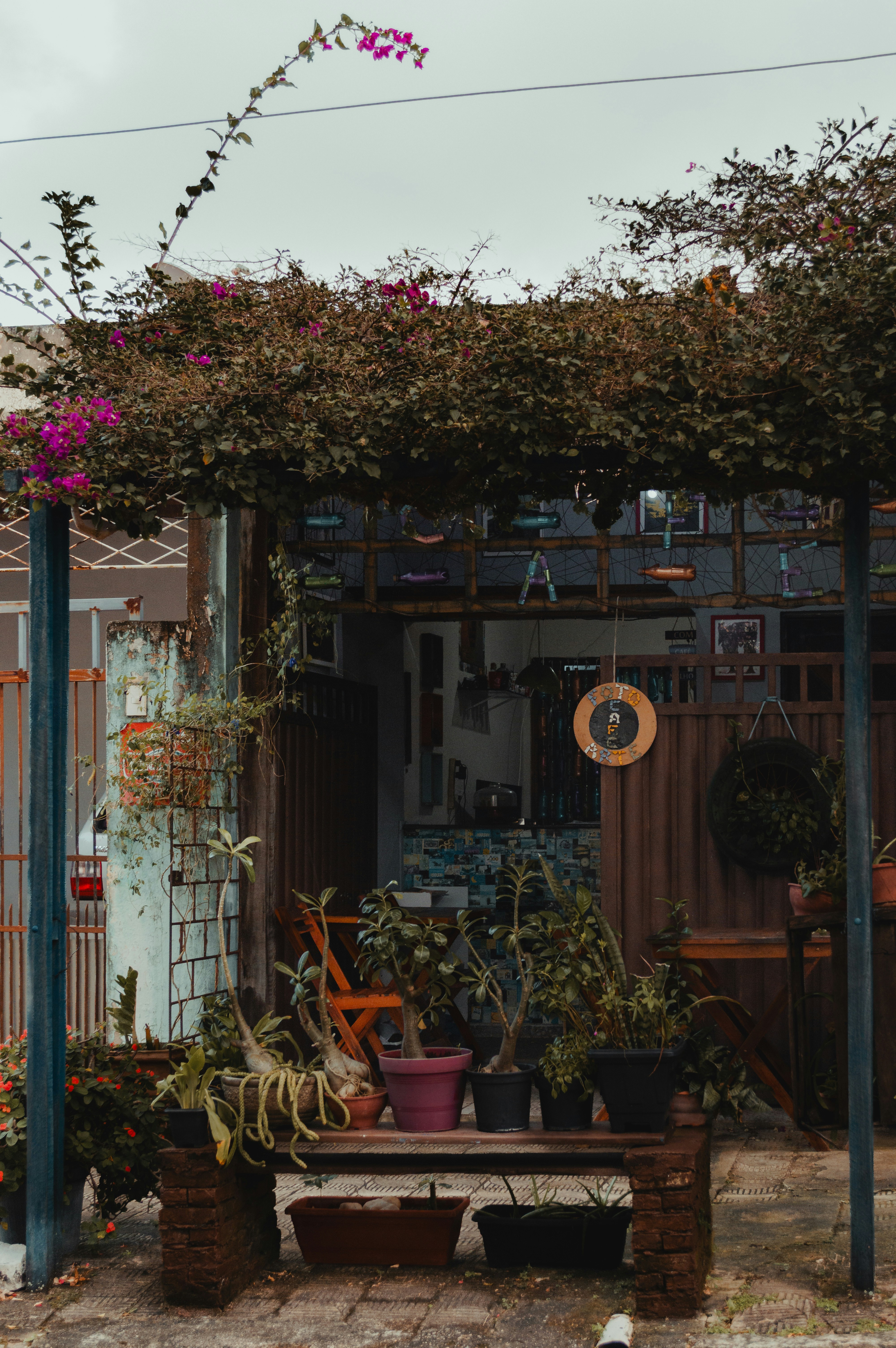 Garden Shopfront Under Blooming Pergola