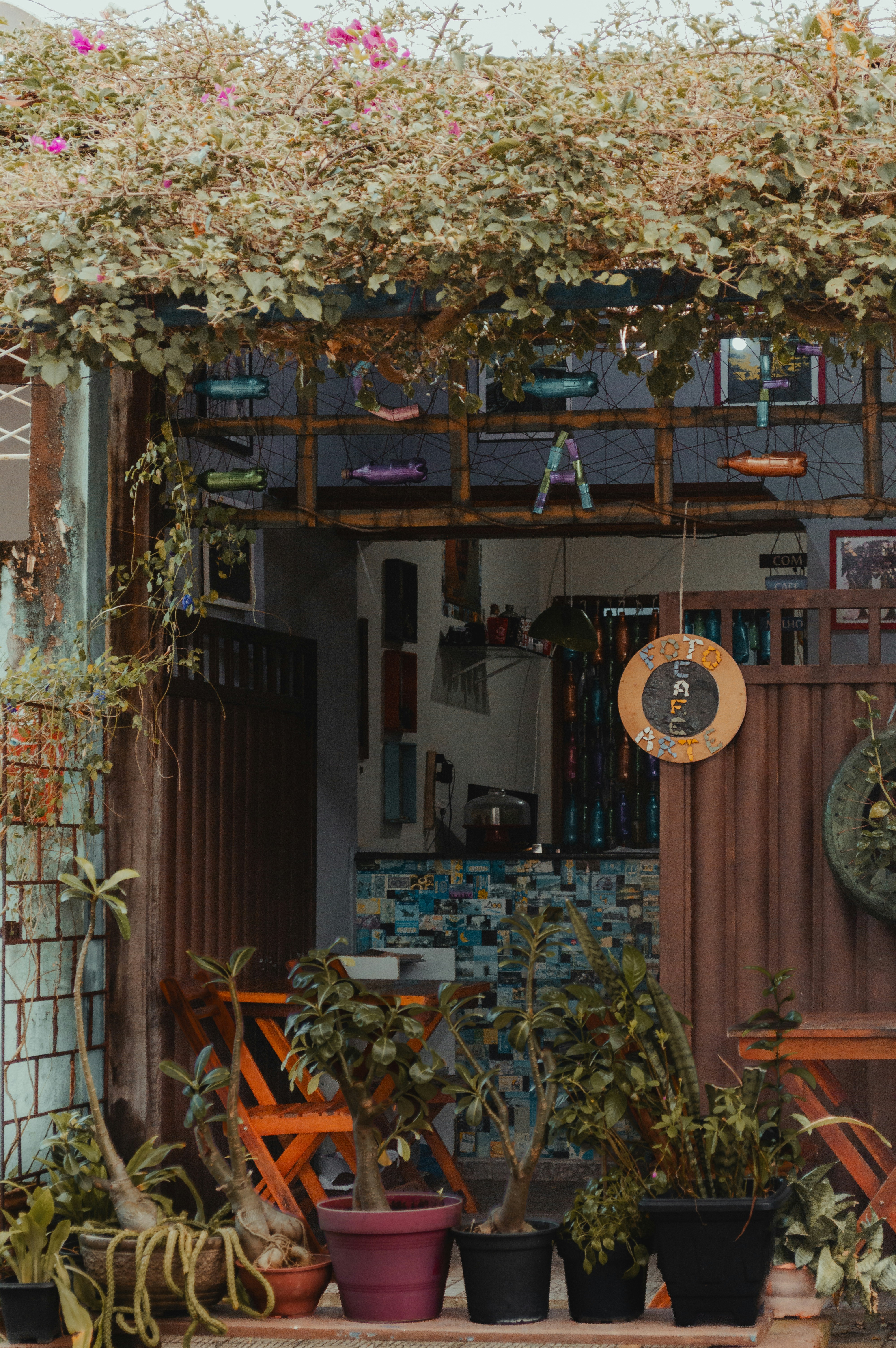 Verdant Teahouse Entrance Drenched in Copper Light