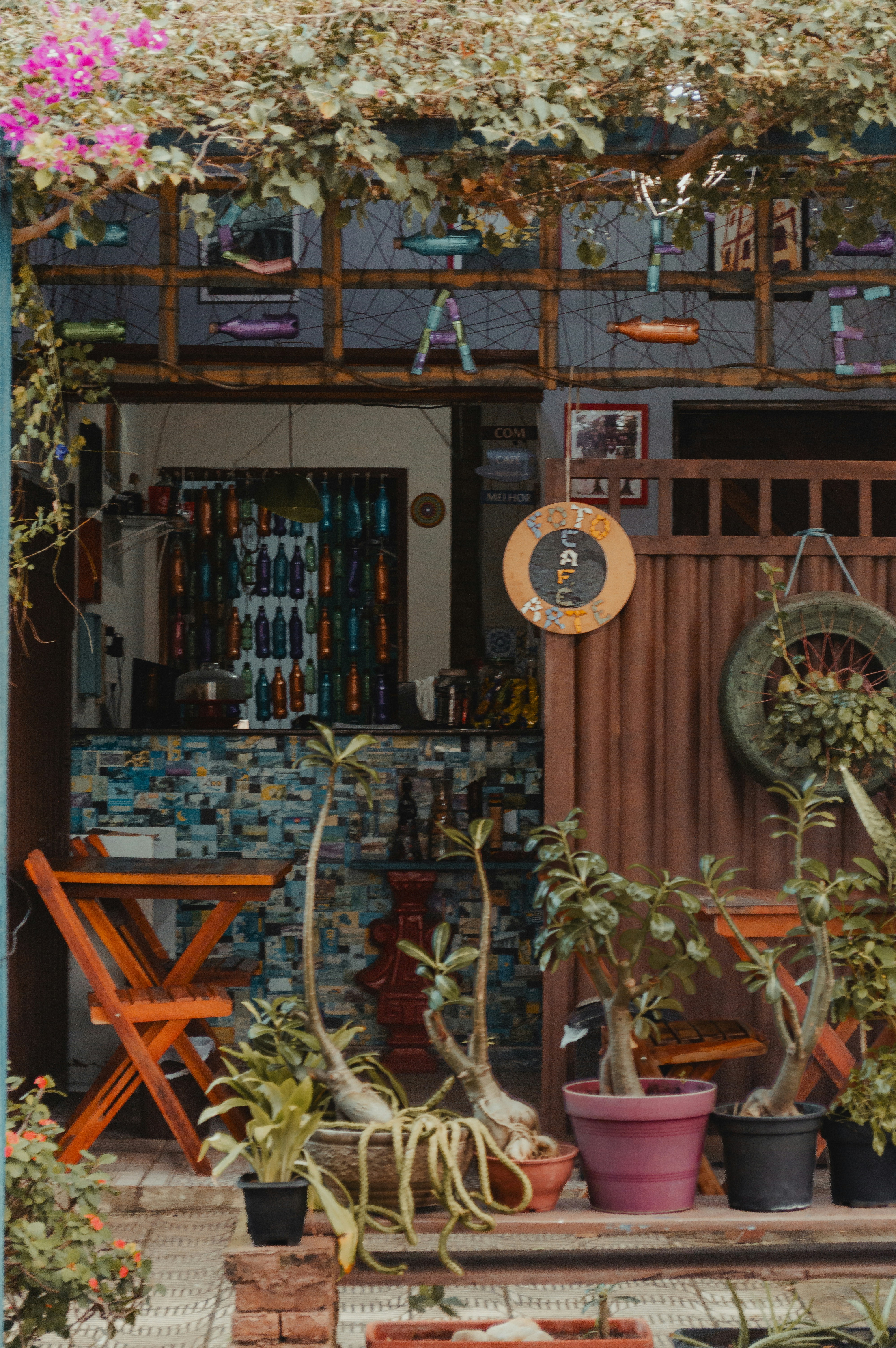 Sunlit Courtyard Café: A Rustic Welcome with Potted Greens
